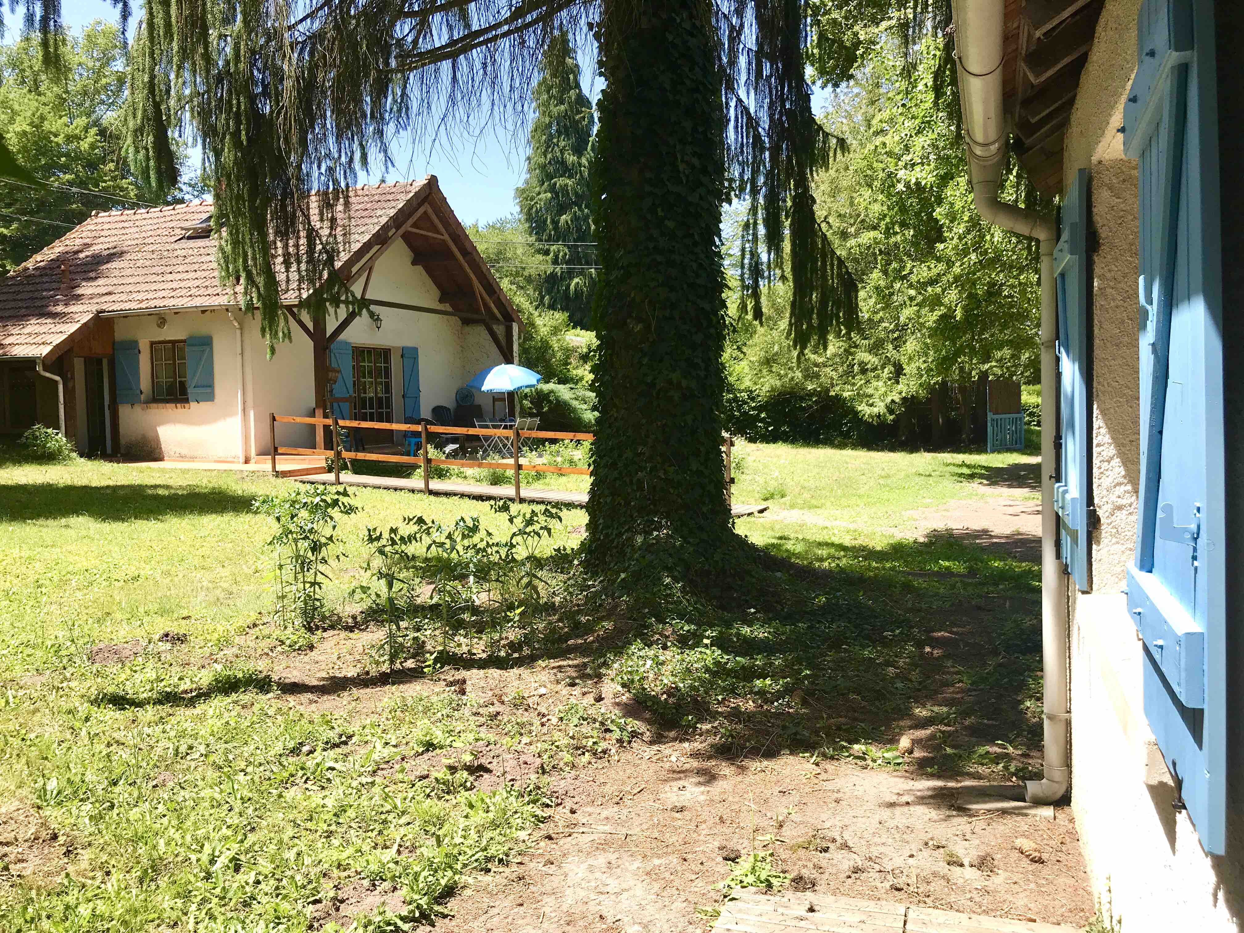 Gîte en bordure de la forêt de Tronçais - Maisons à louer à Saint ...