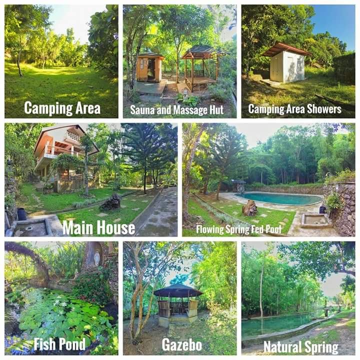 Green Mountain Spring Farm - Farm stays for Rent in Barili, Central ...