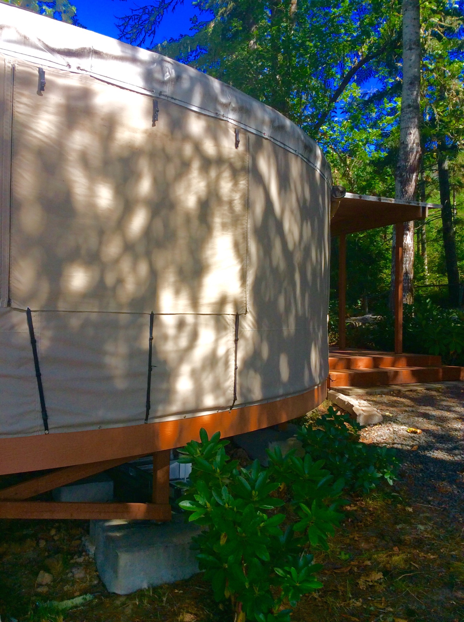 Yurt Glamping on Historic Oregon Vineyard - Yurts for Rent in Elkton ...