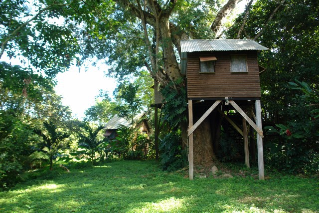 Parrot Nest Treehouse 2 (Gold Standard) - Treehouses for Rent in Bullet ...