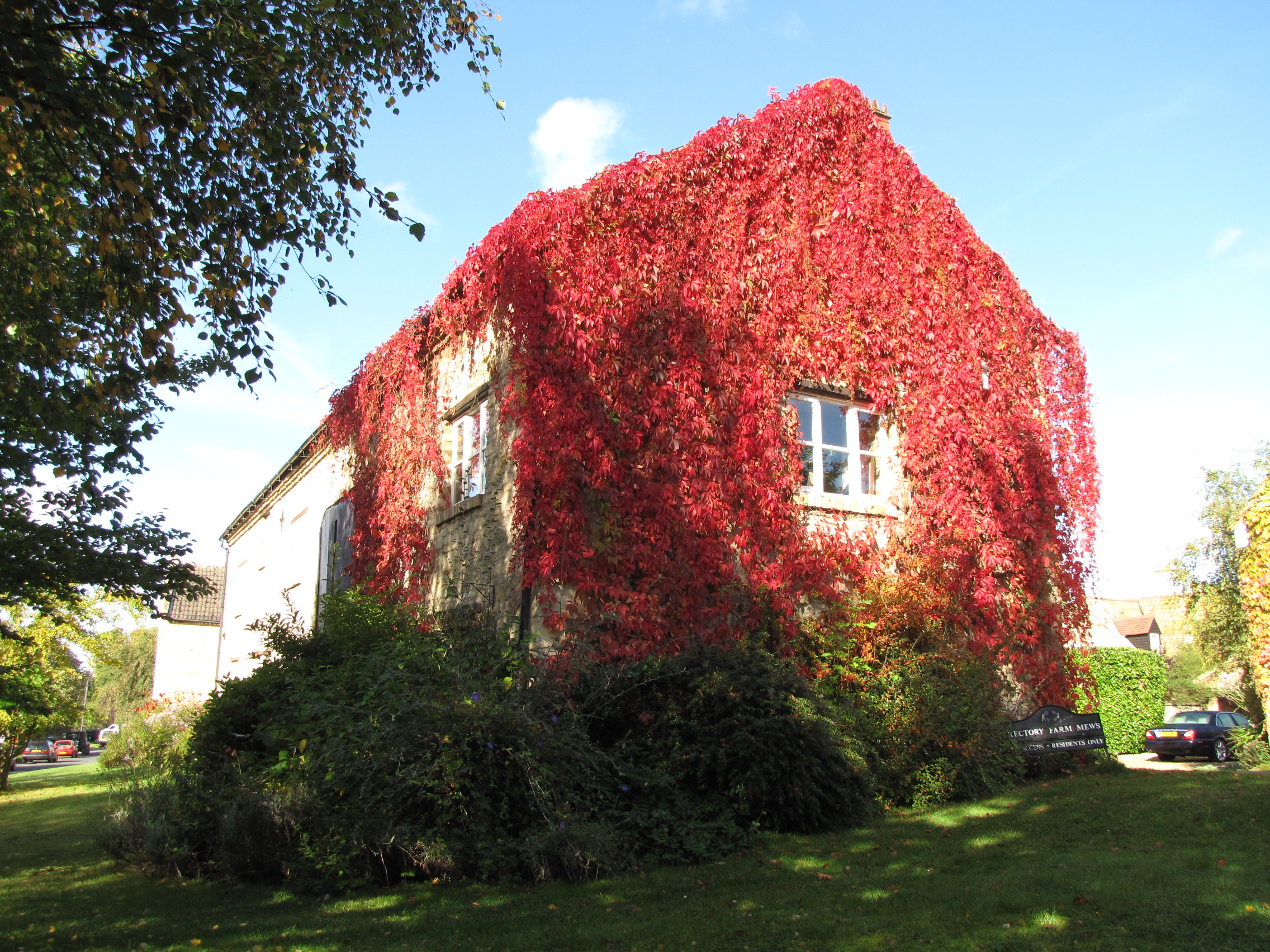 Barn Cottage, try village life! - Barns for Rent in Elton, United ...