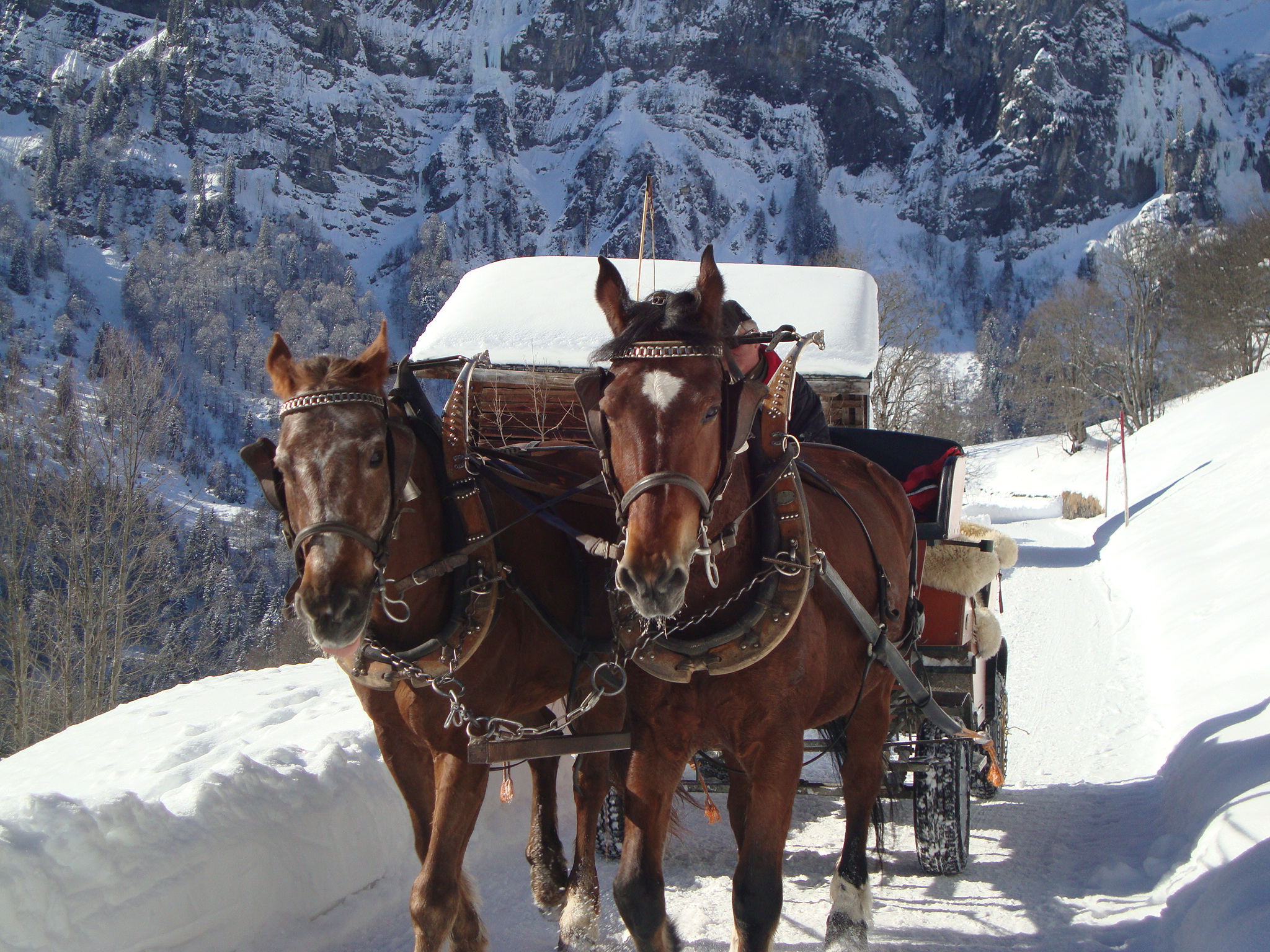 Cozy chalet in car free village - Chalets for Rent in Braunwald, Canton ...