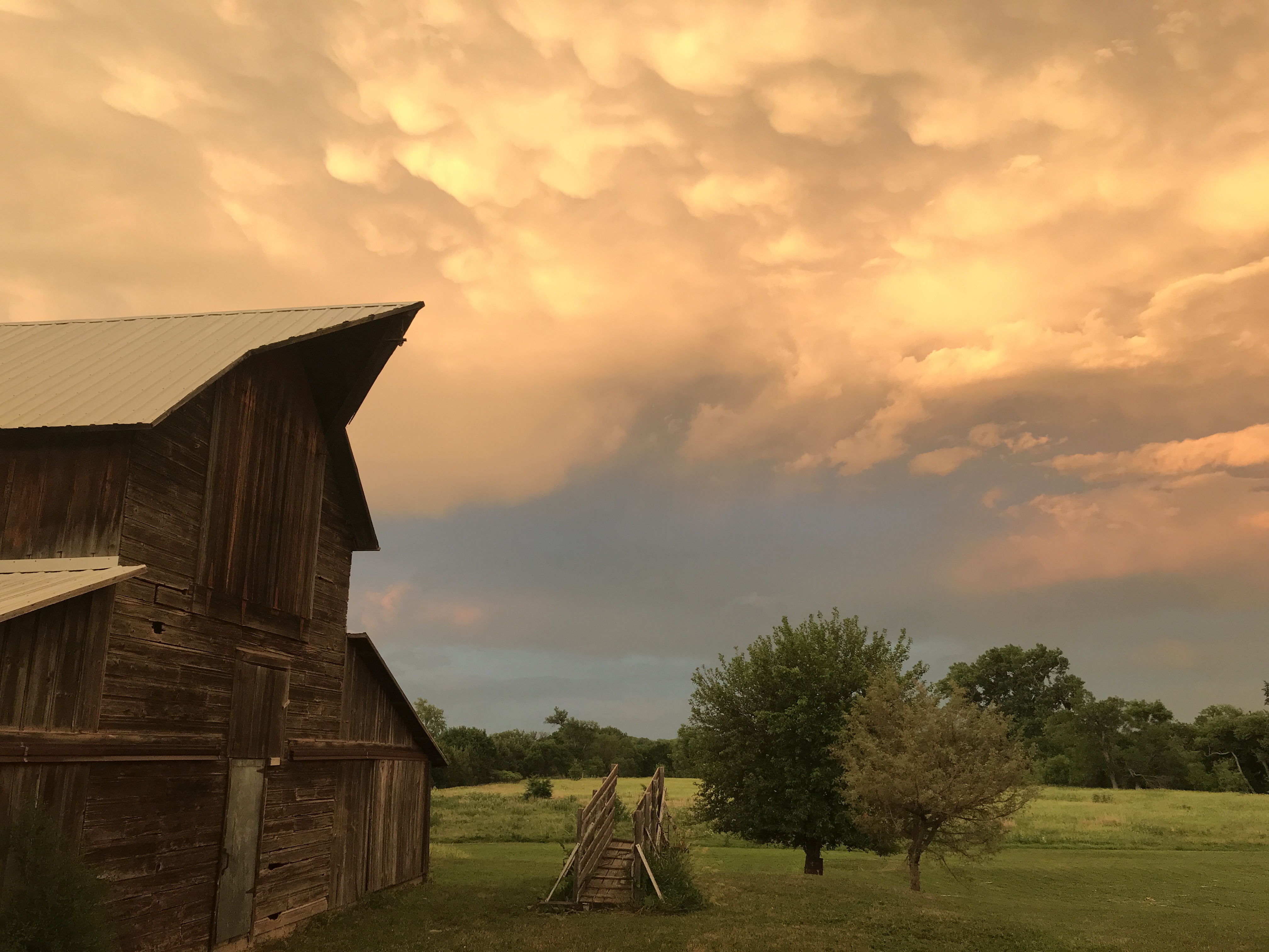 Country Getaway - 13 Acres - Pet Friendly - Houses for Rent in Ayr ...