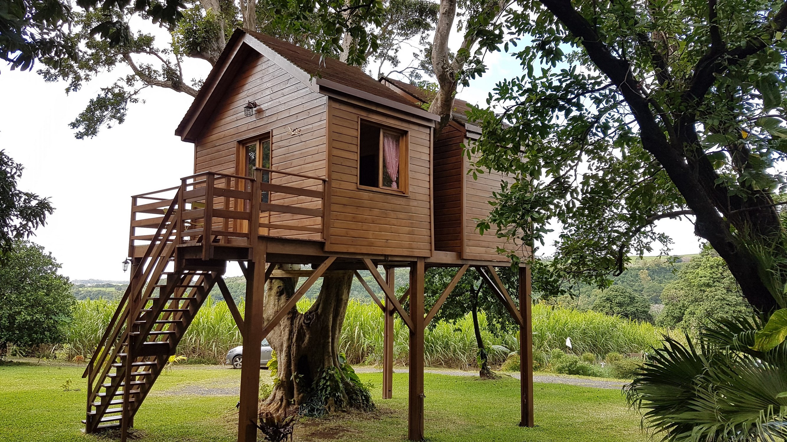 Une cabane tout confort perchée dans un letchi - Cabanes à louer à ...