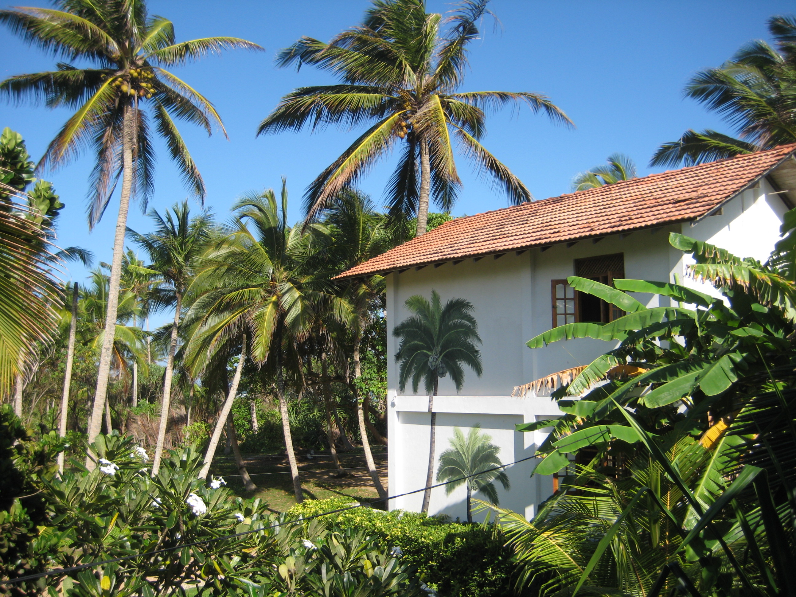 Sole Occupancy, secluded 2 Bedroom Beach House - Houses for Rent in ...