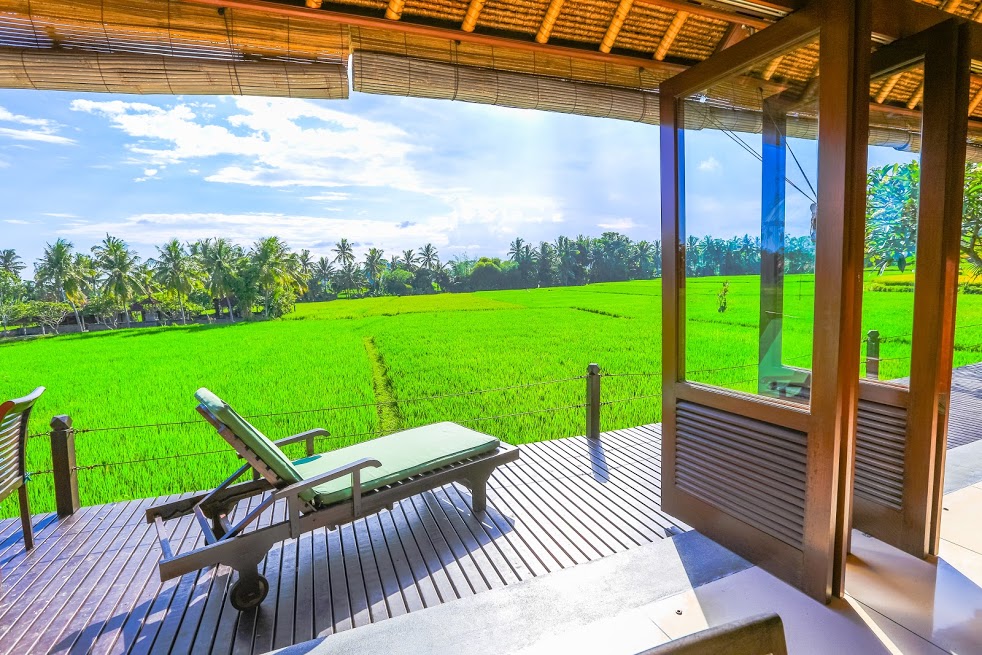 Million$ Luxury Ricefield Views & Infinity Pool - Villas for Rent in ...