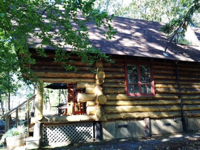 Little Log Cabin in the Woods! - Cabins for Rent in Eugene, Oregon ...