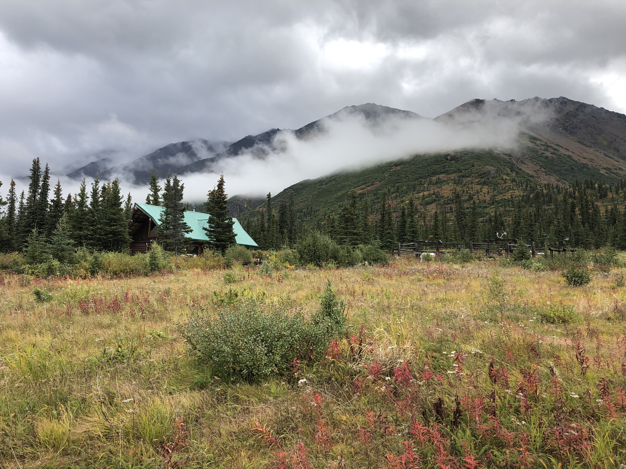 Windy Pass Mule Barn! Private cabin amazing views! - Cabins for Rent in ...