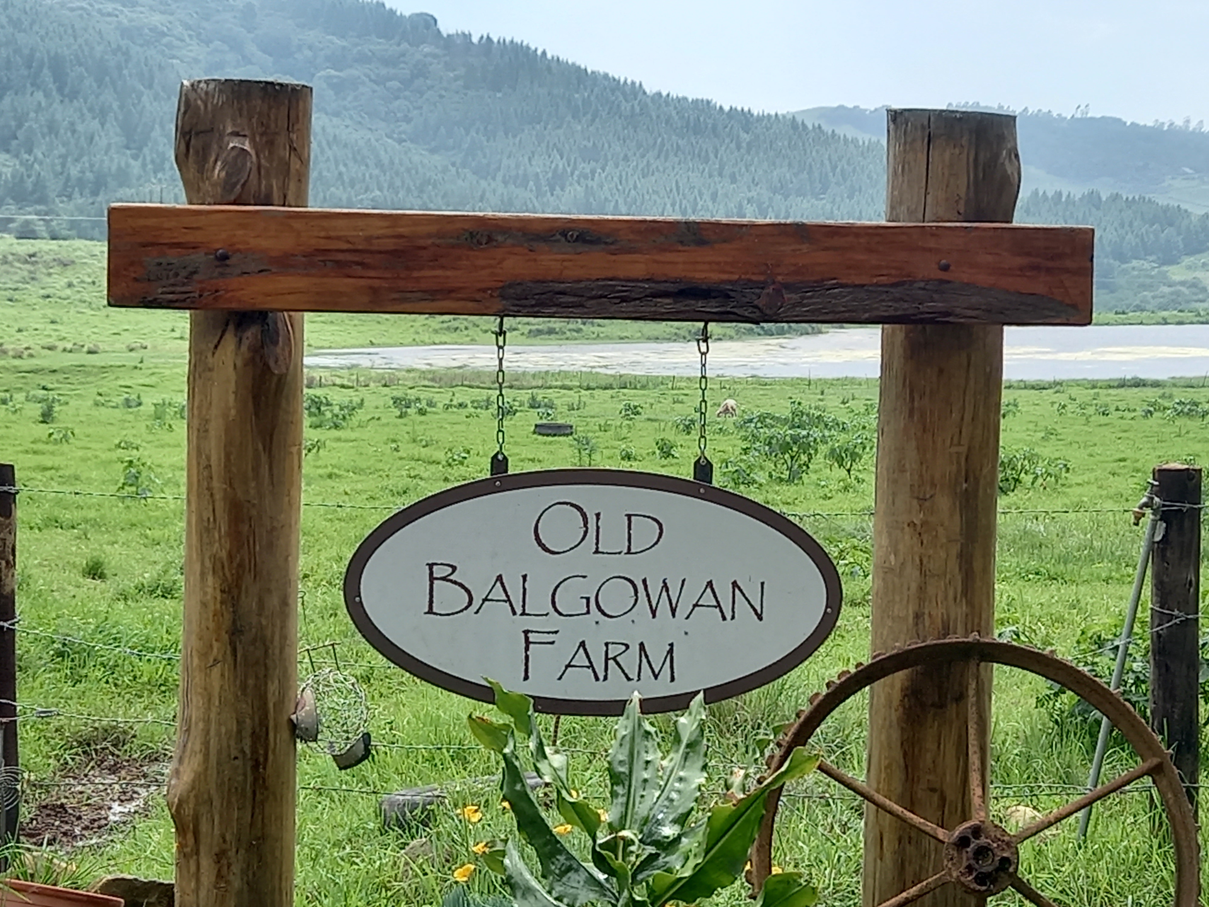 Old Balgowan Farm Cottages - Dairy Cottage - Cottages for Rent in ...