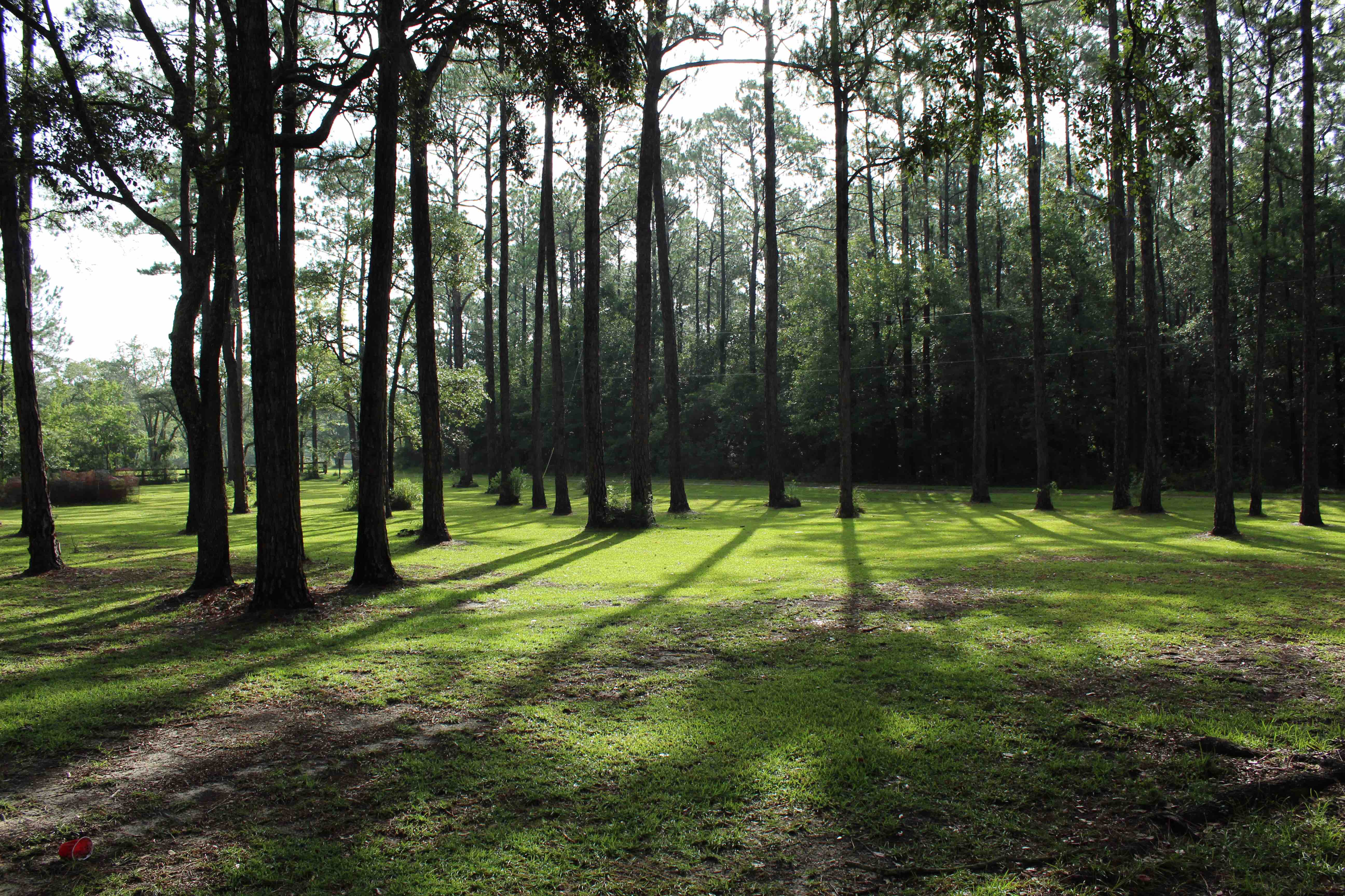 "The Shed" on Mon Louis Island - Guesthouses for Rent in Coden, Alabama ...