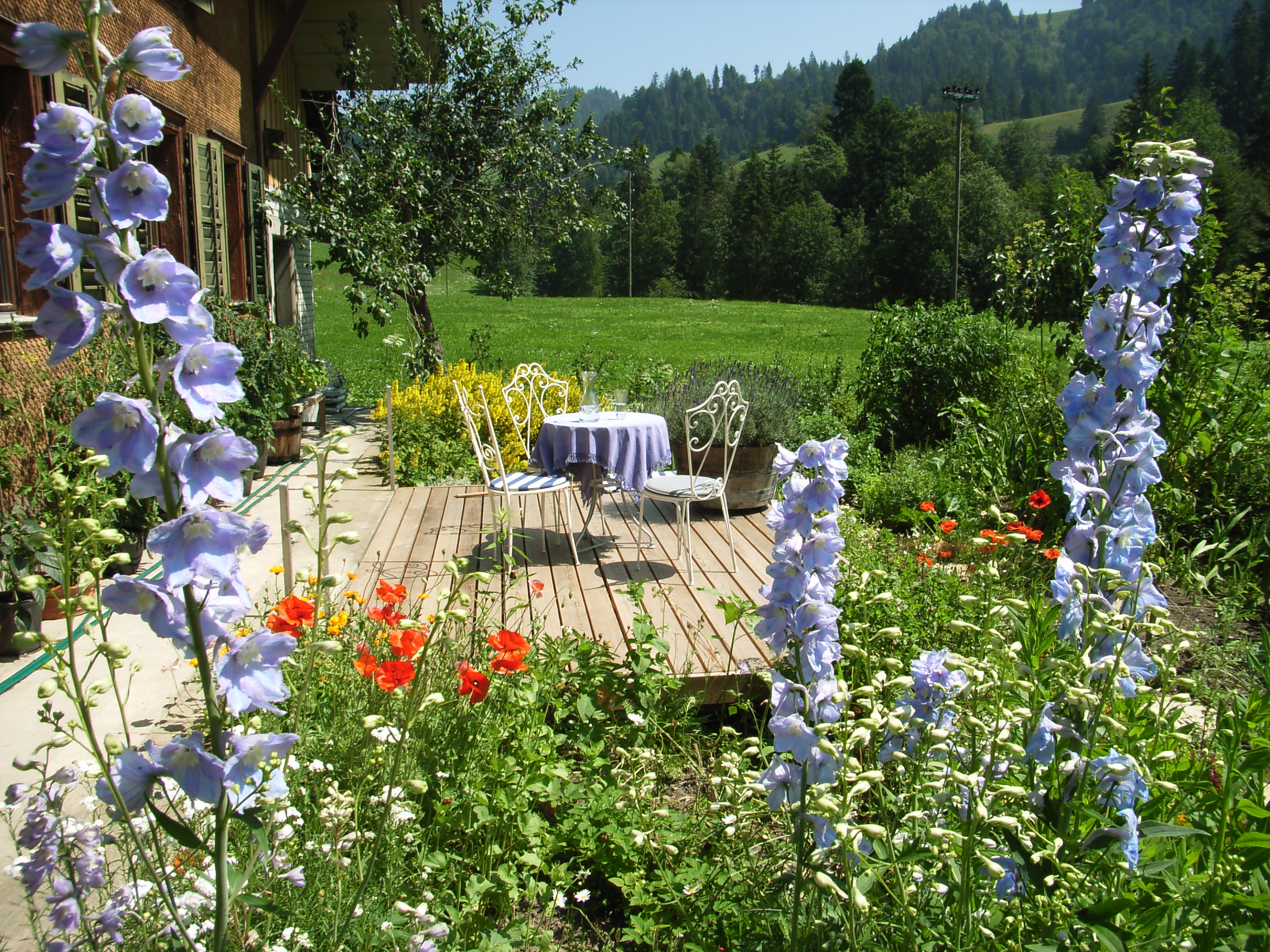 Newly renovated cozy apartment in Trub - Apartments for Rent in Trub ...