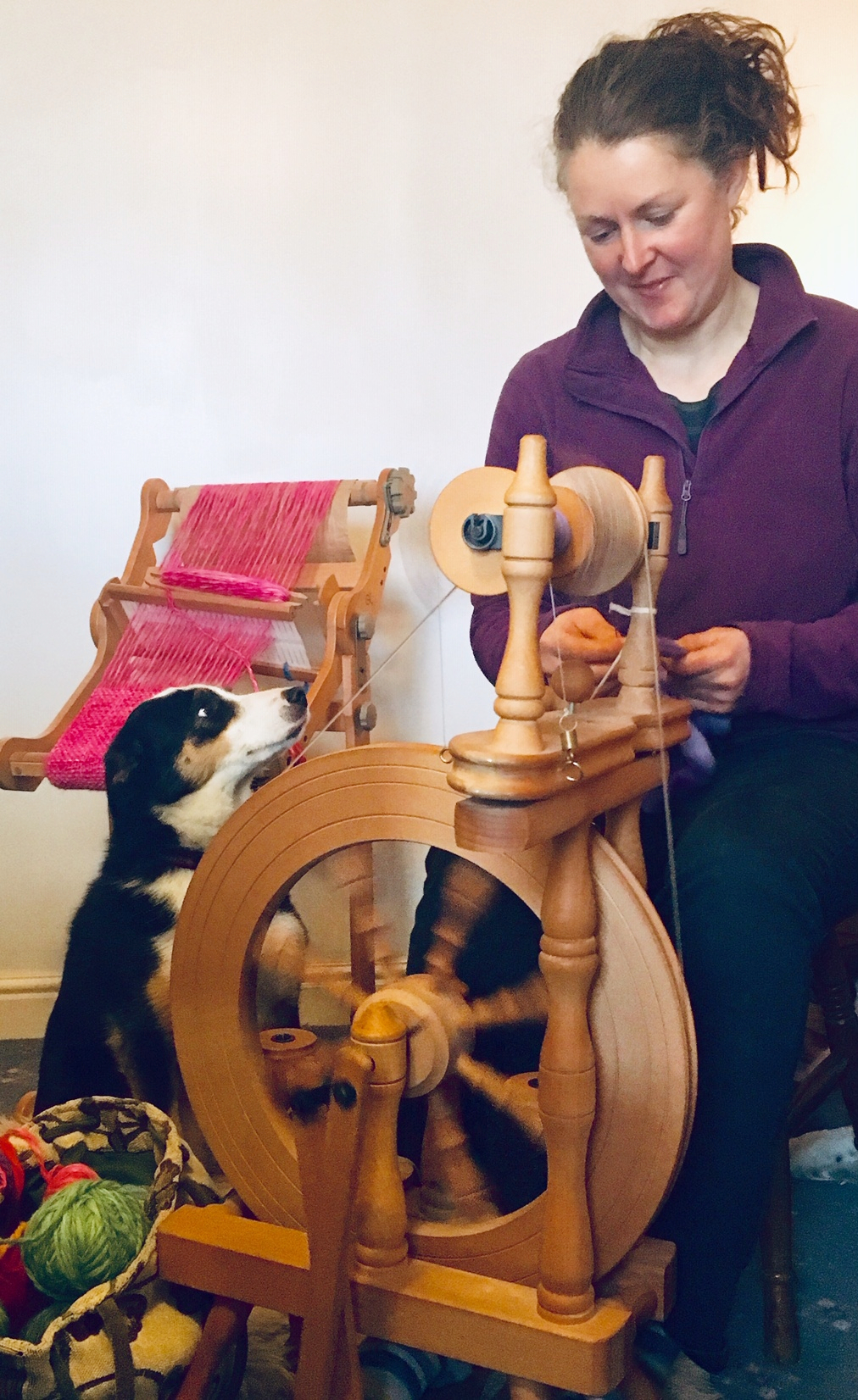 Learn to spin wool in the Highlands - Airbnb