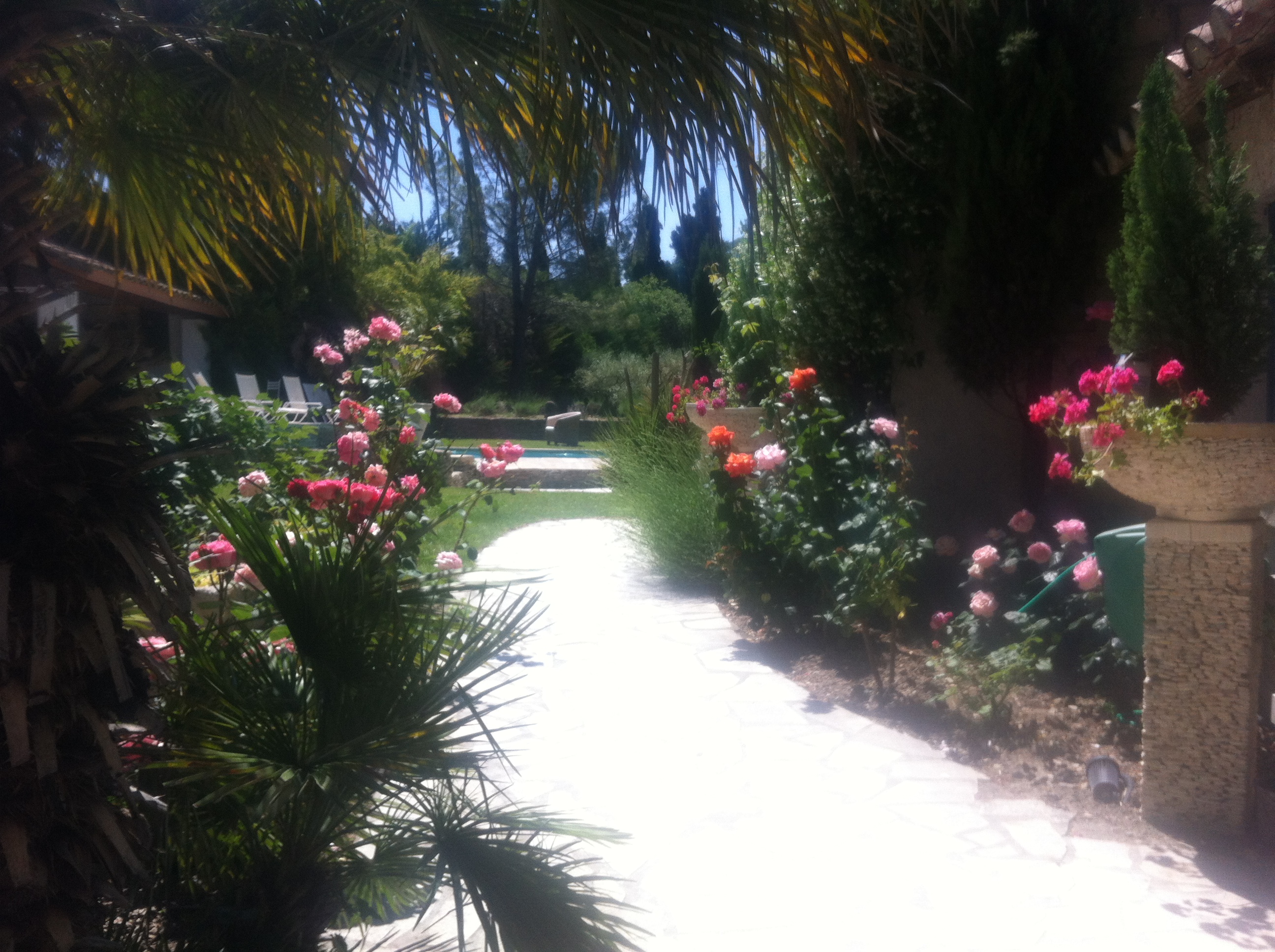 small mazet in the heart of provence