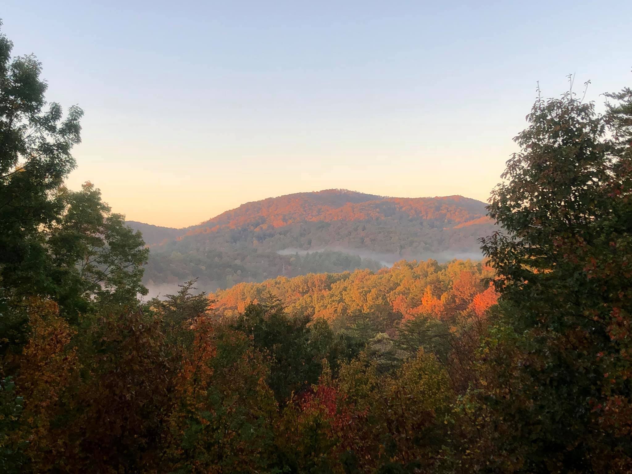 Mountain views await you at Shady Grove North - Cabins for Rent in ...