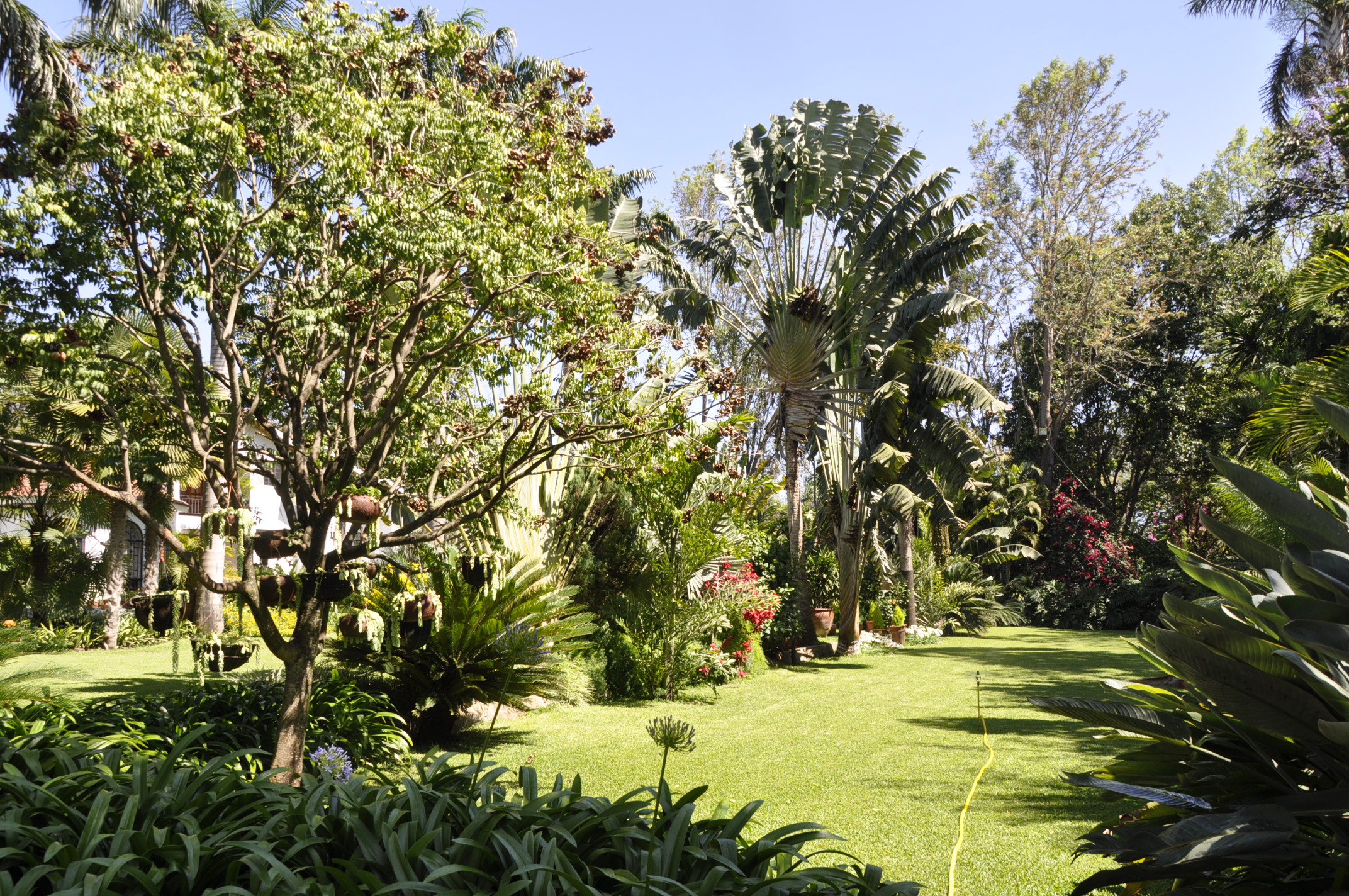 Arusha Palm House - Houses for Rent in Arusha, Arusha, Tanzania