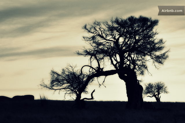 @ Dog Rocks Sunrise Garden Room in Batesford