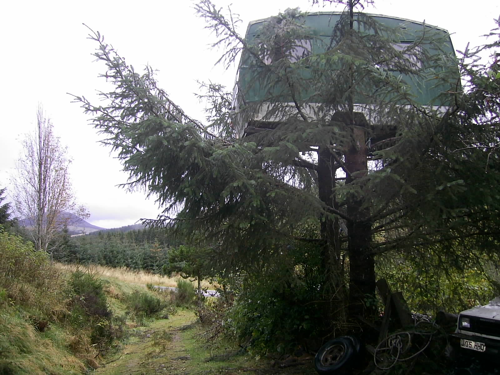 Bogancloch Treehouse - Treehouses for Rent in Rhynie, Scotland, United ...