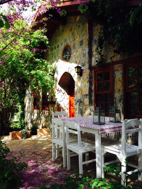 Fig Garden Cottages, Fig Cottage - Cottages for Rent in Kayaköy, Muğla ...