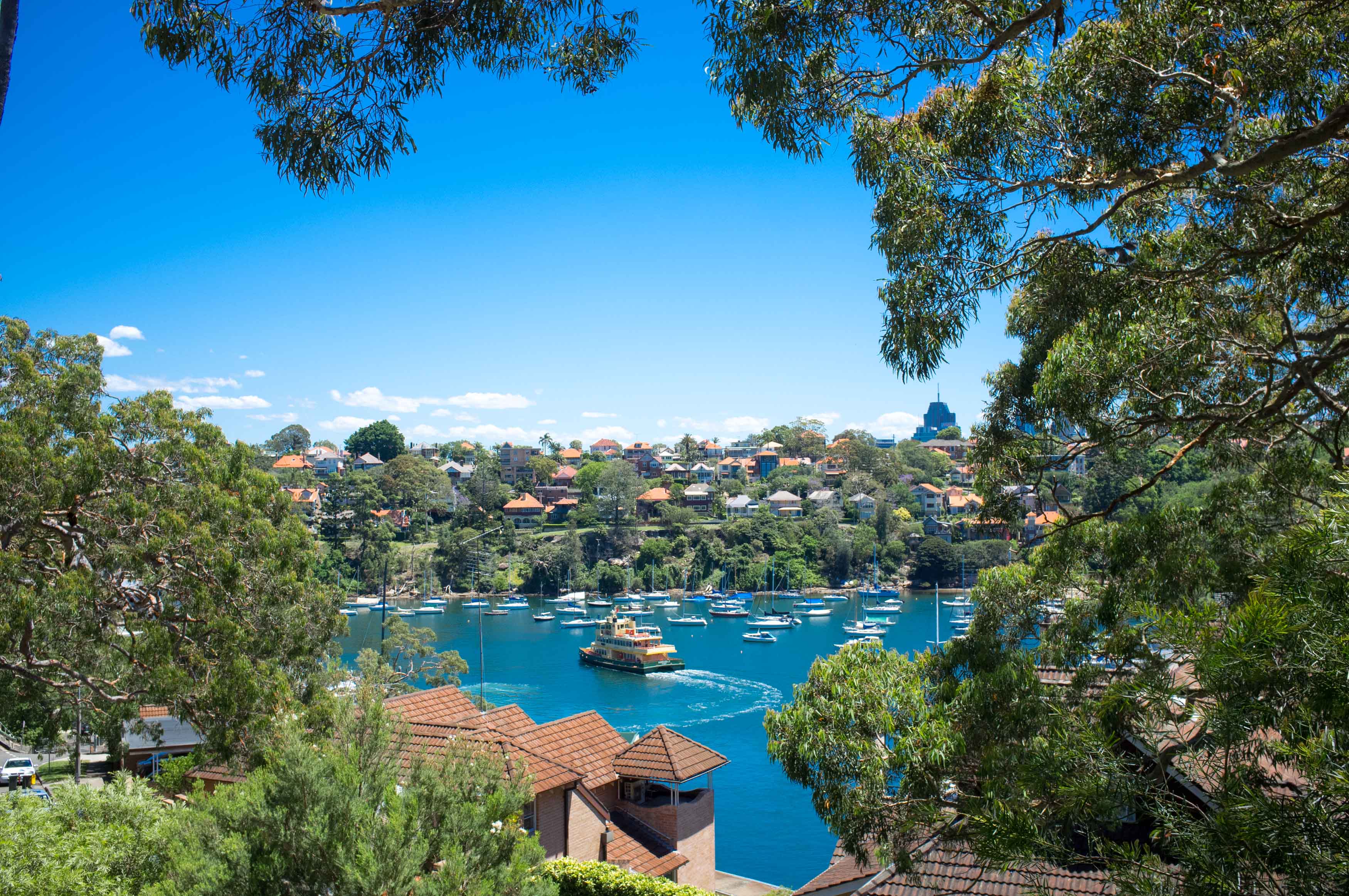 Mosman Bay Loft - Guest suites for Rent in Mosman, New South Wales ...