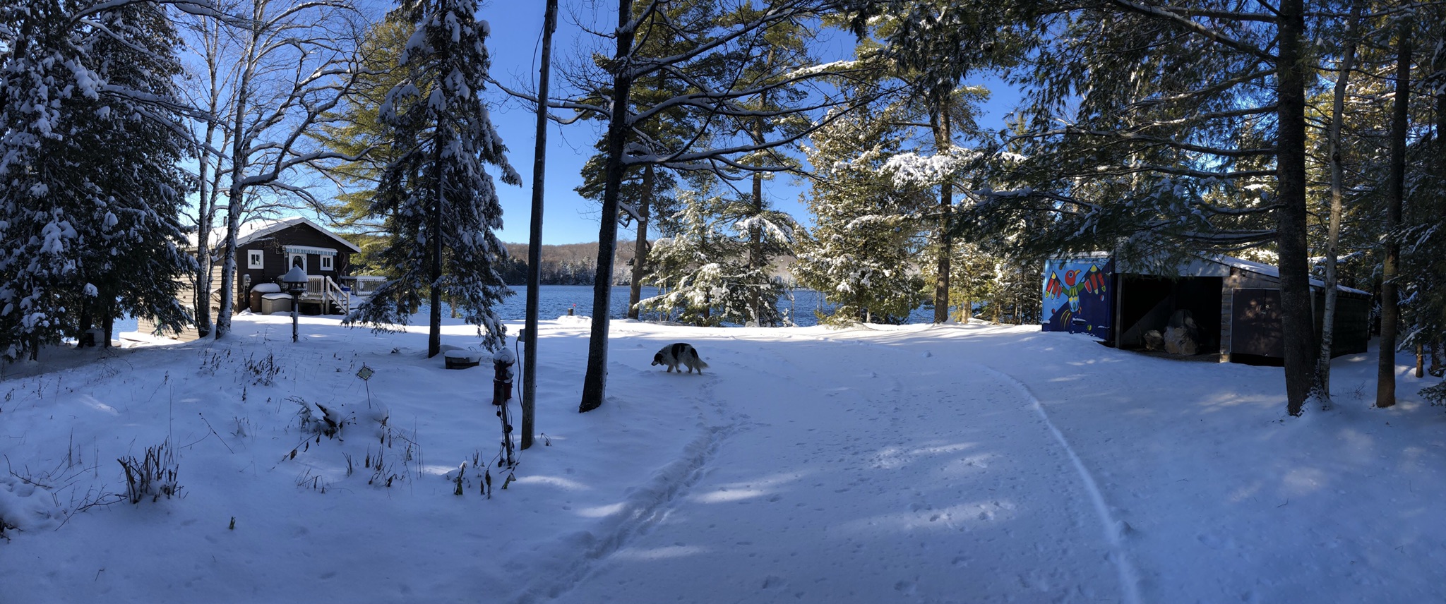 Cozy Boathouse Cottage on the Water - Cottages for Rent in Emsdale ...