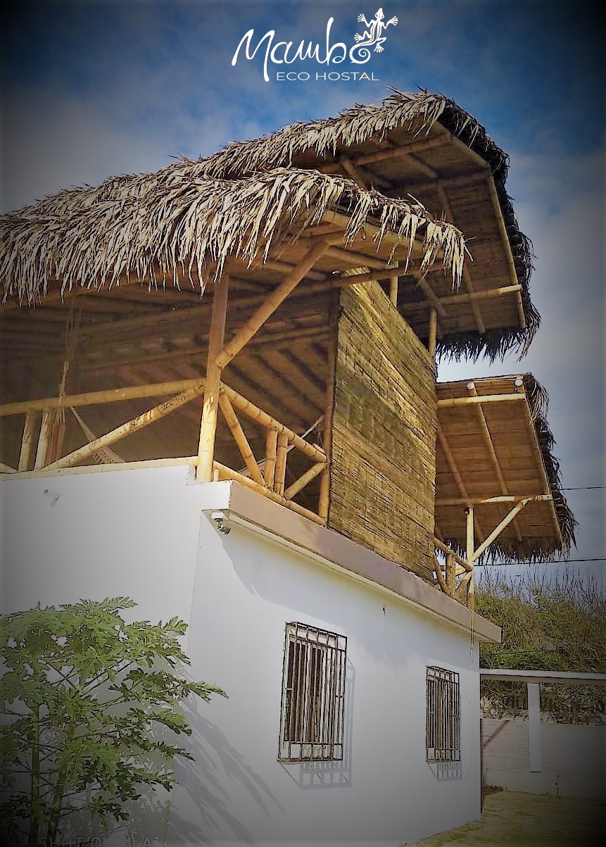 La Villa Mambo - Maisons à louer à San Lorenzo, Manabí Province, Équateur - Airbnb