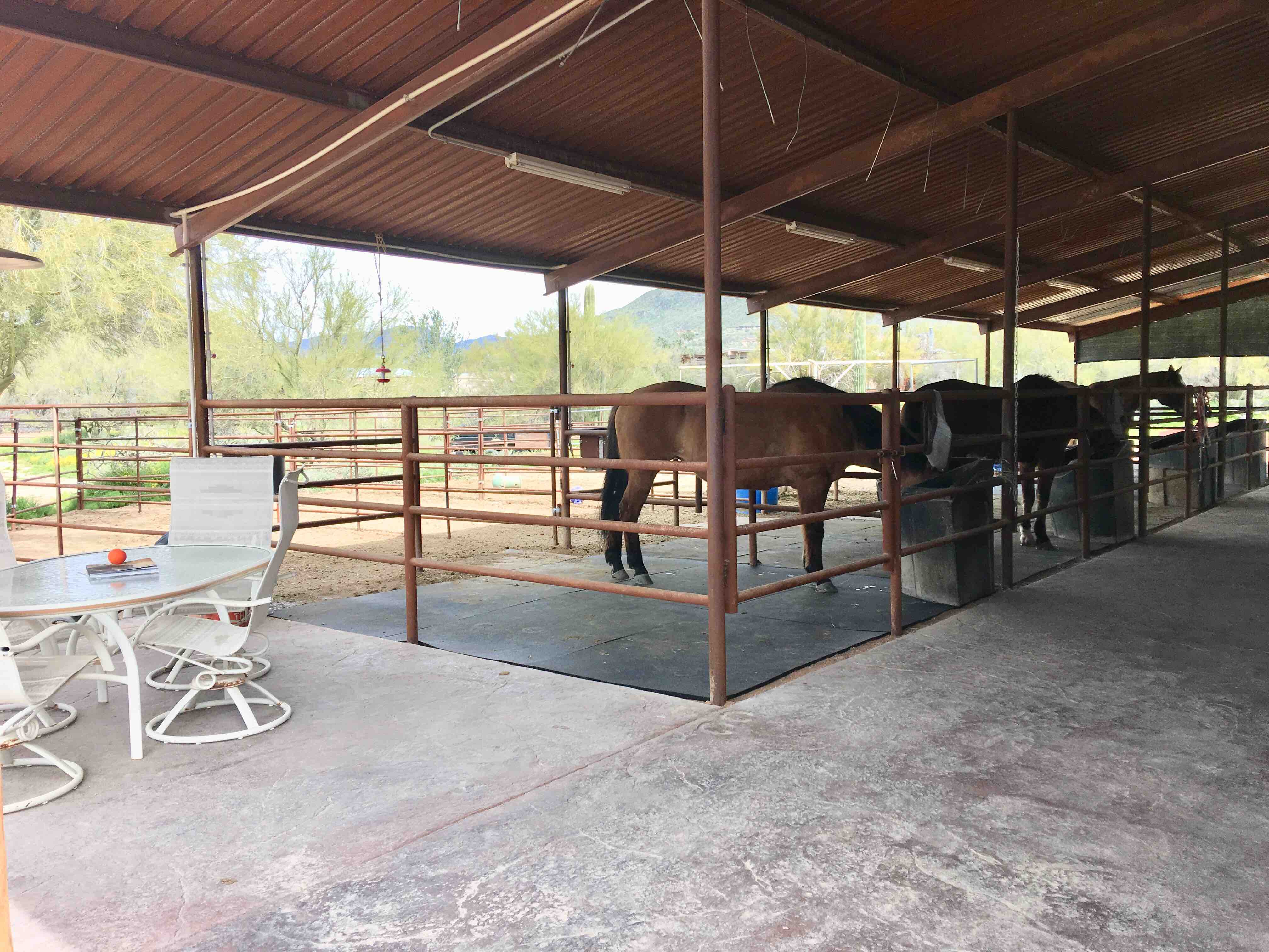 Unique Crooked Cactus Ranch Bunkhouse - Guesthouses for Rent in Cave ...