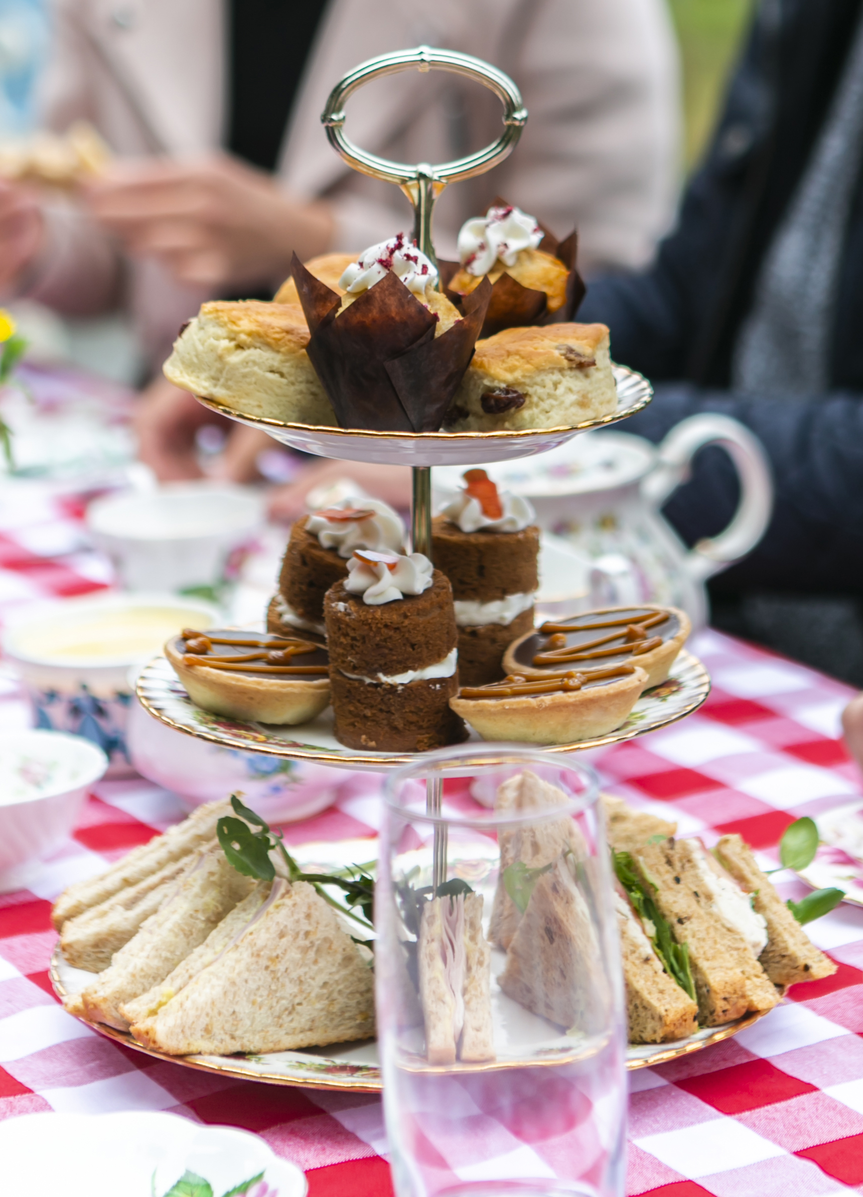 Afternoon tea with the Alpacas - Airbnb