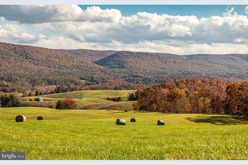 Spectacular Cabin and Views in Fort Valley - Cabins for Rent in Fort ...