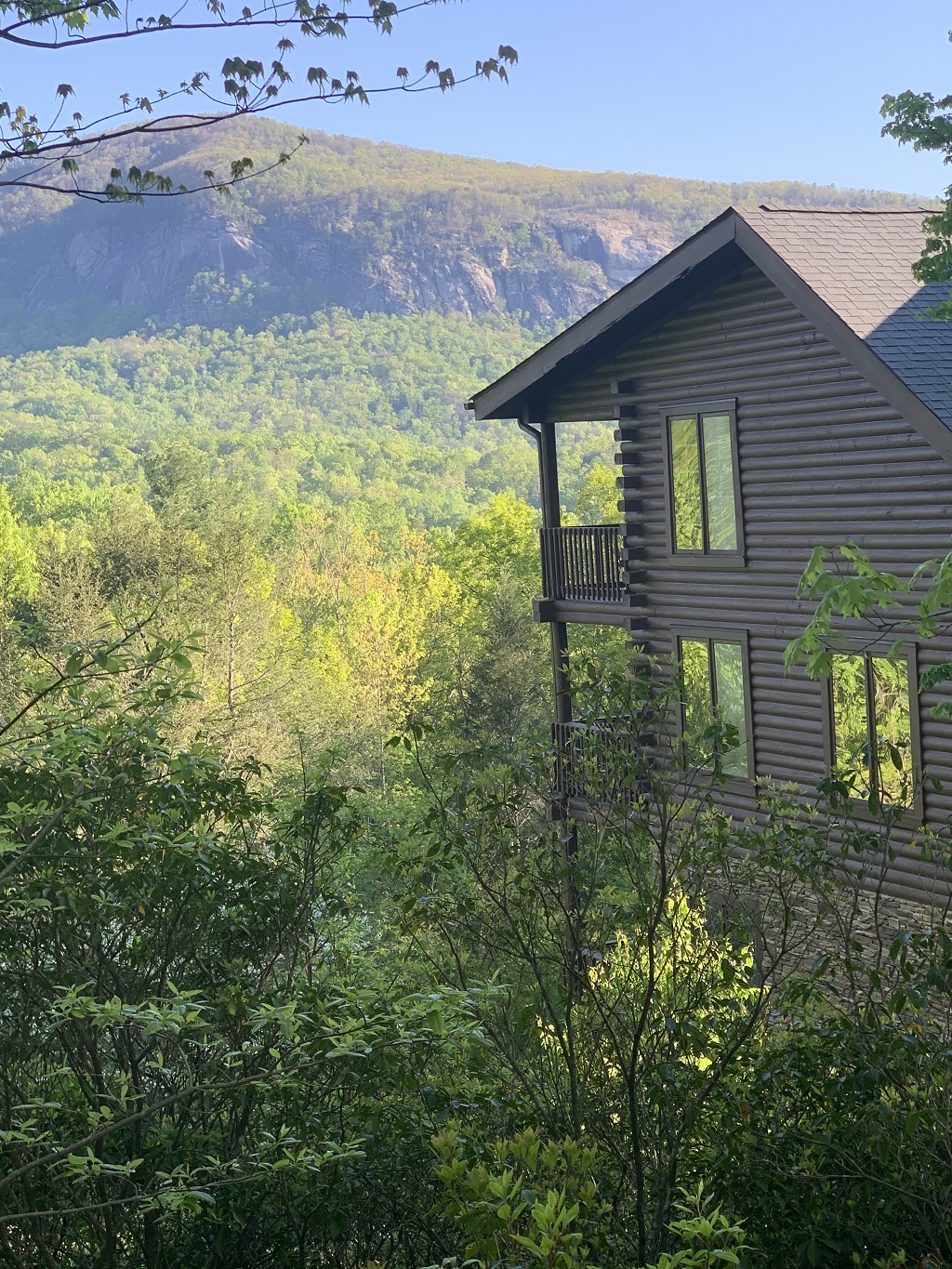 Tree Top Lodge -Hot Tub, Pool Table, Boat Option! - Cabins for Rent in ...