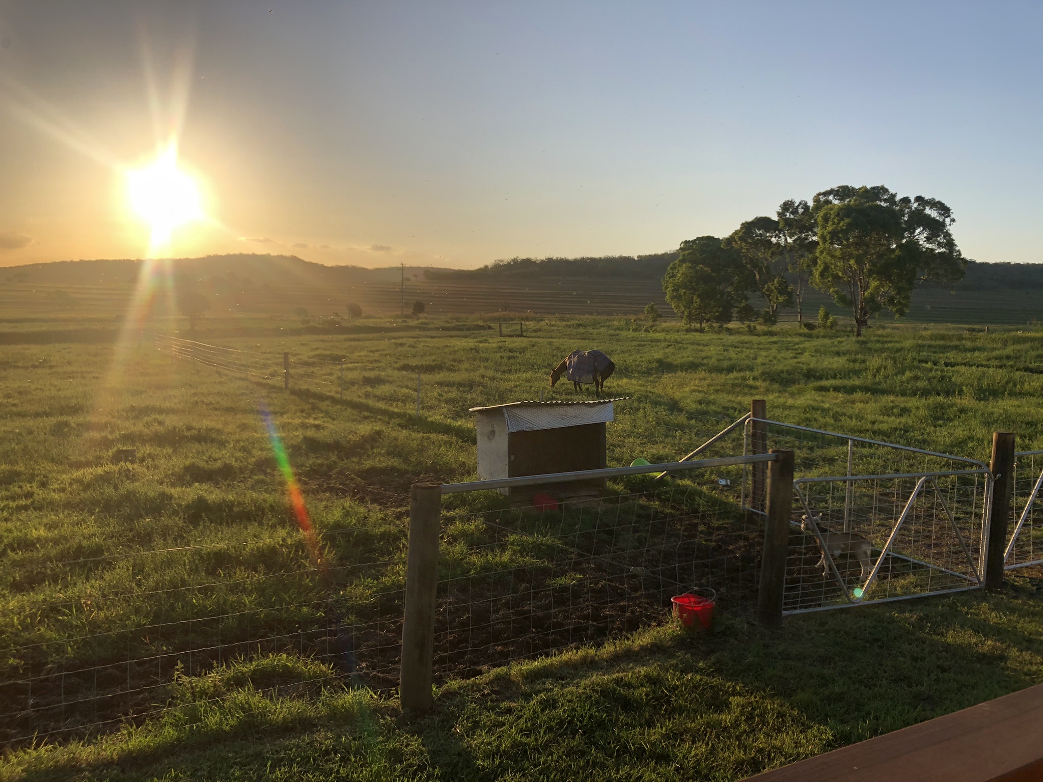 Duchess Farms- Farm Stay - Farm stays for Rent in Nobby, Queensland ...