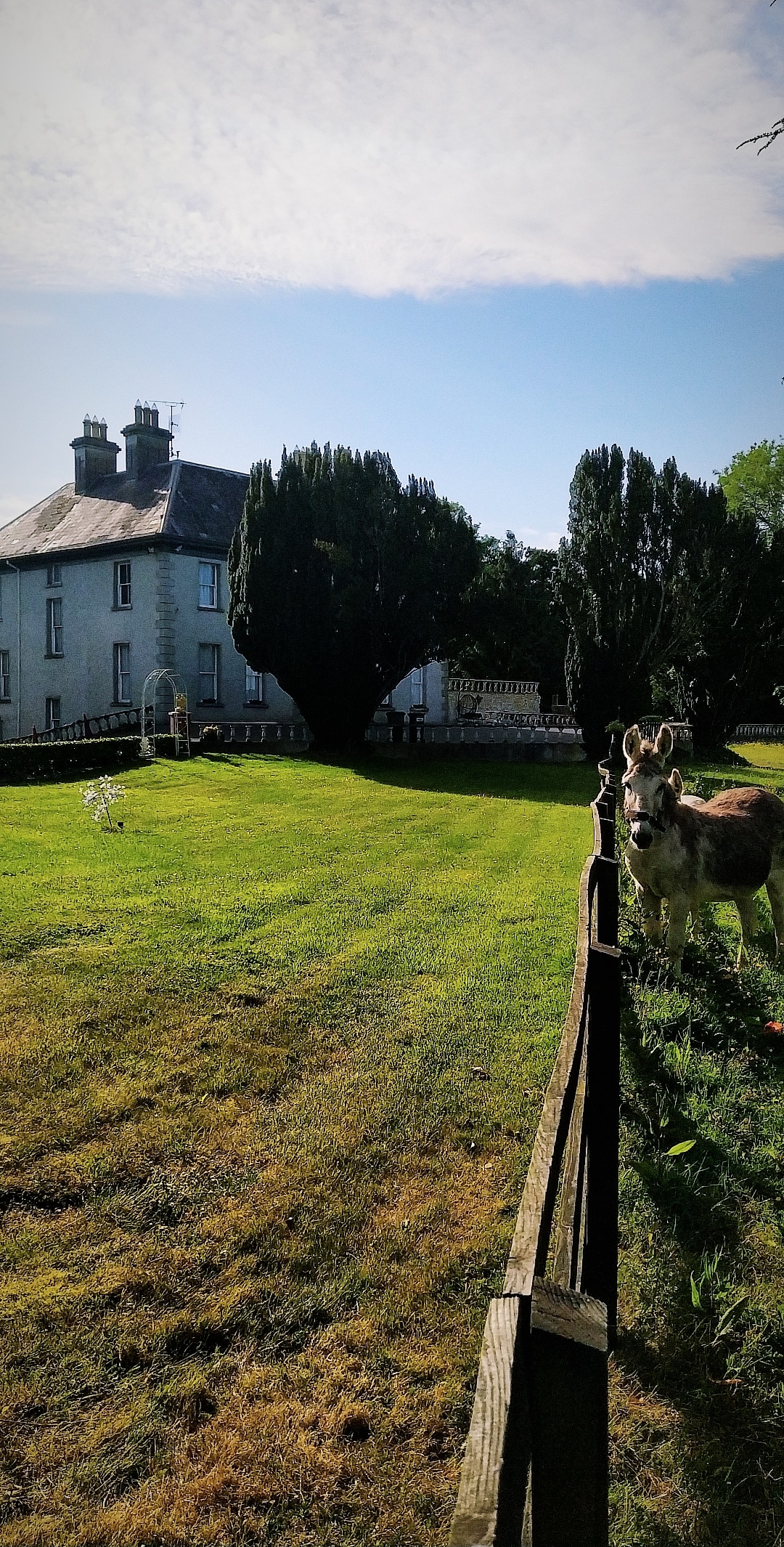 Period Irish Manor - Ballycumber House - Castles for Rent in ...