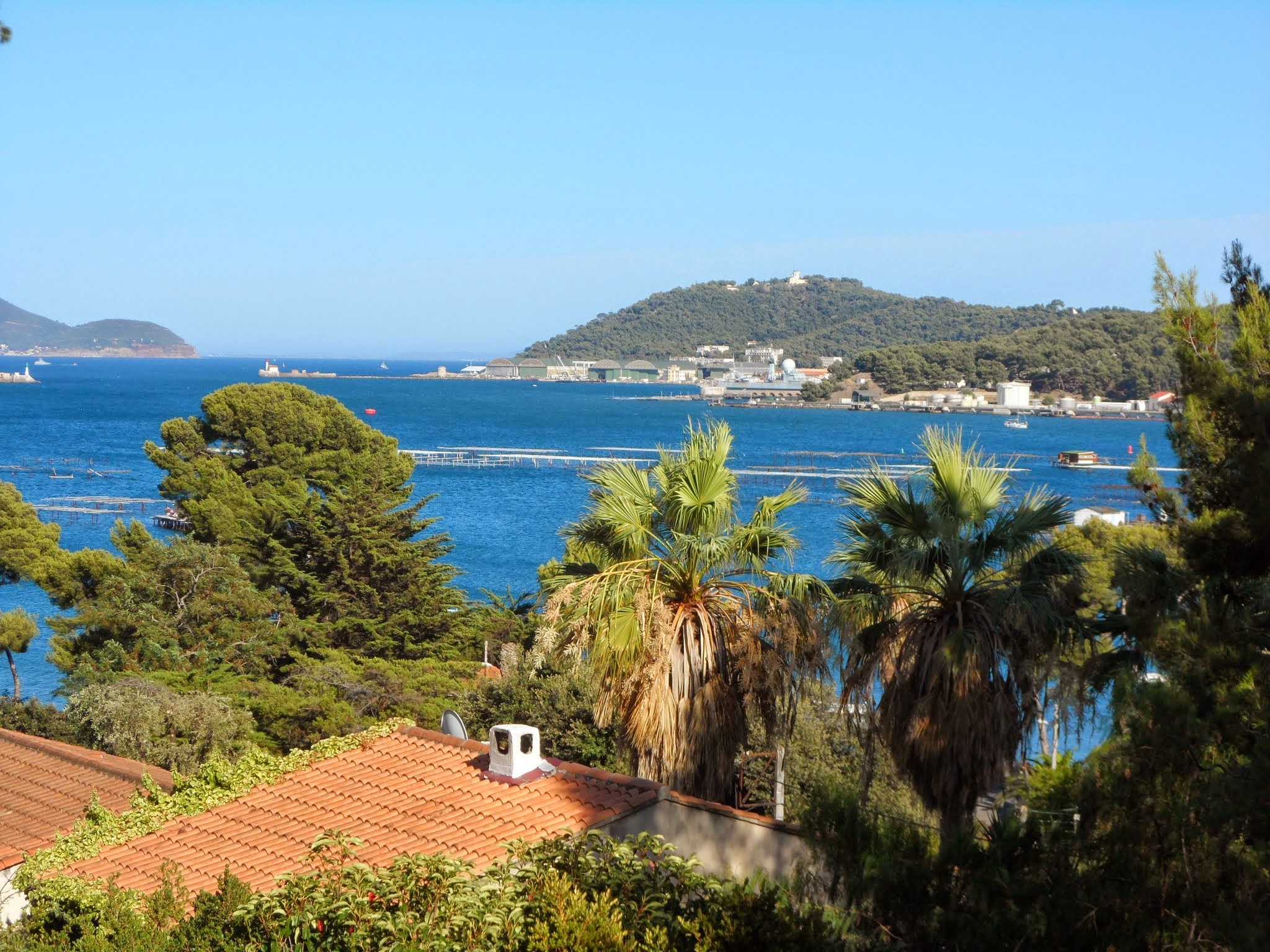 La Seyne sur mer - Tamaris, terrasse vue mer - Appartements en résidence à louer à La Seyne-sur ...