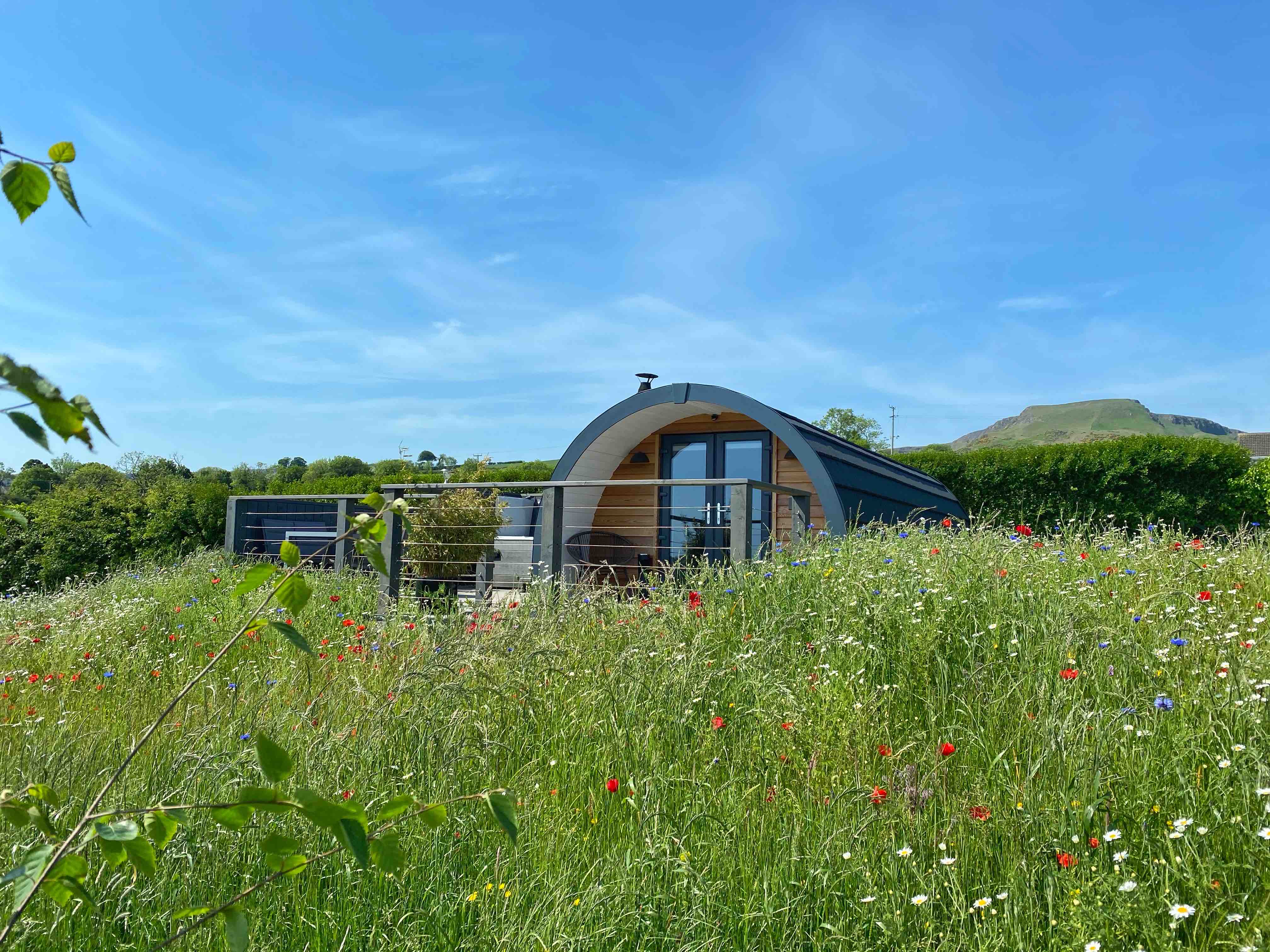 Knockdhu Luxury Glamping Pod (Sycamore Pods) - Tiny houses for Rent in ...