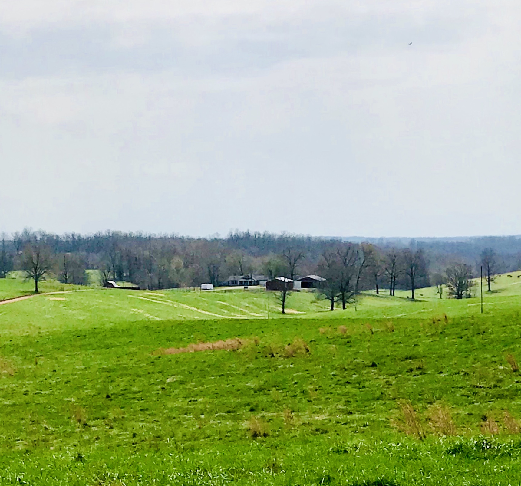 Lorland Country Retreat - Farm stays for Rent in Caulfield, Missouri ...