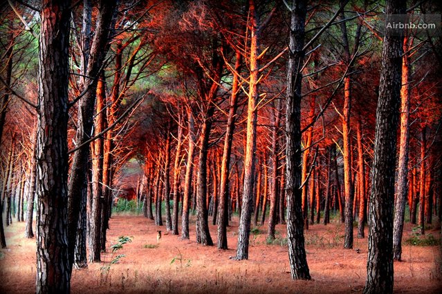 Pizzo Beach Club, Calabria, Italy in Pizzo