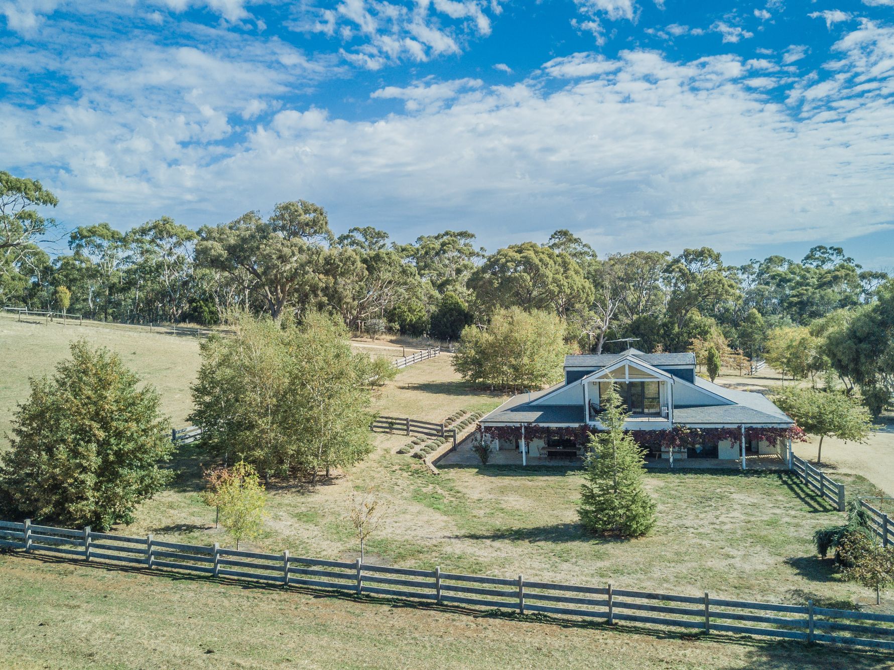 The Cottage at Camp David Farm - Houses for Rent in Spring Hill ...