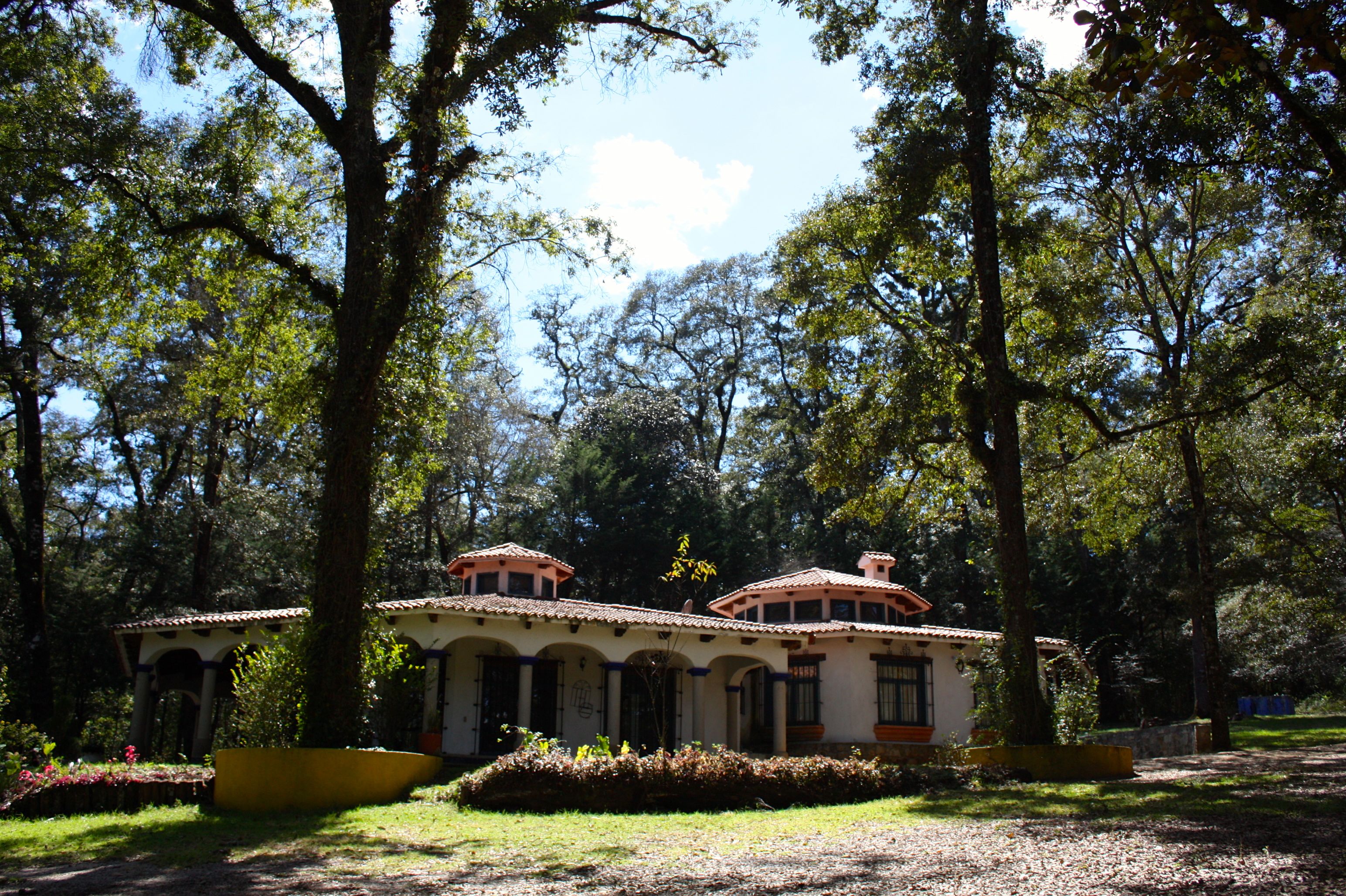 Casa del Bosque. - Cabañas en renta en San Cristóbal de Las Casas ...