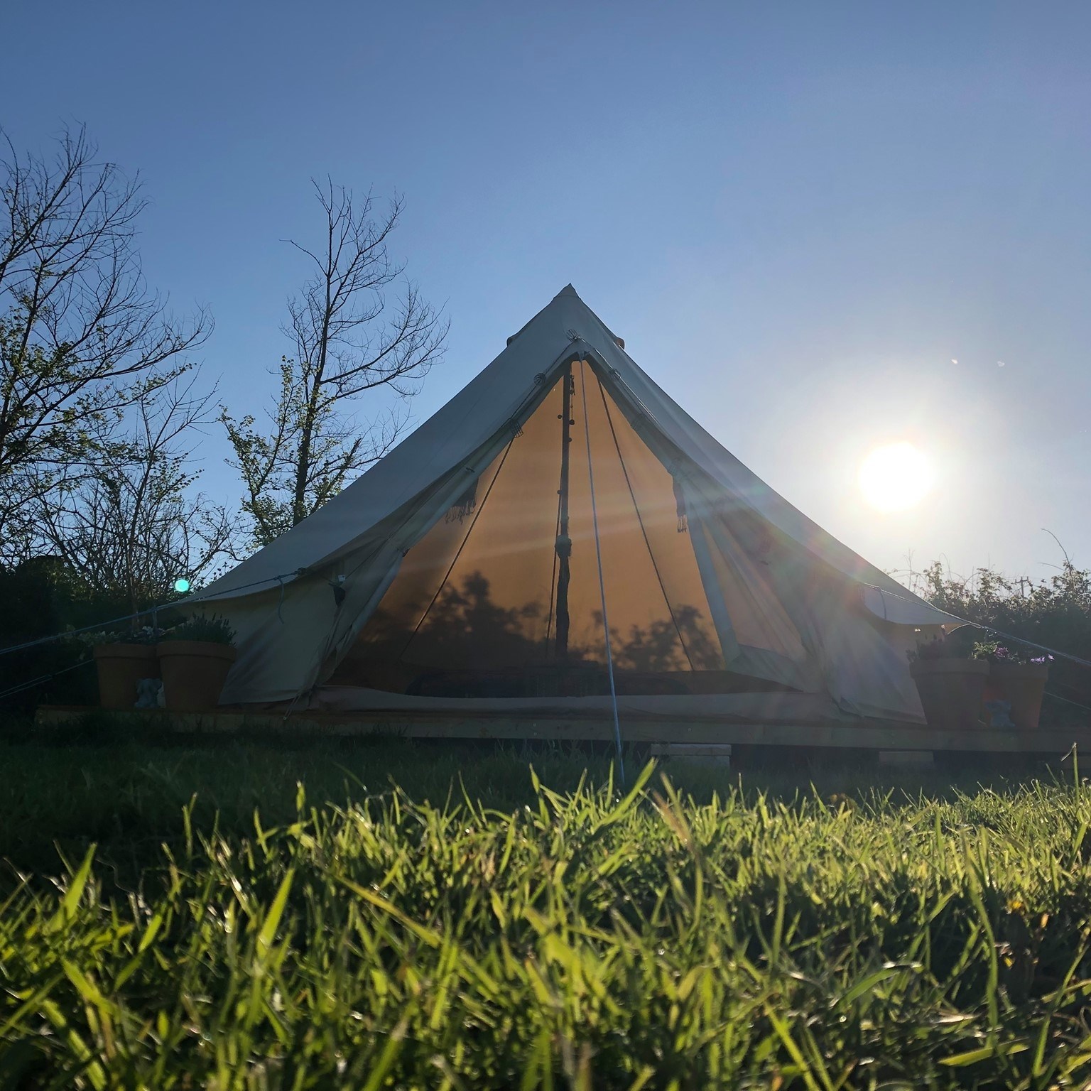 Wild Yurt Glamping (Yurt 4) - 借りられるユルト(パオ、ゲル) - ニューキー, イングランド, イギリス