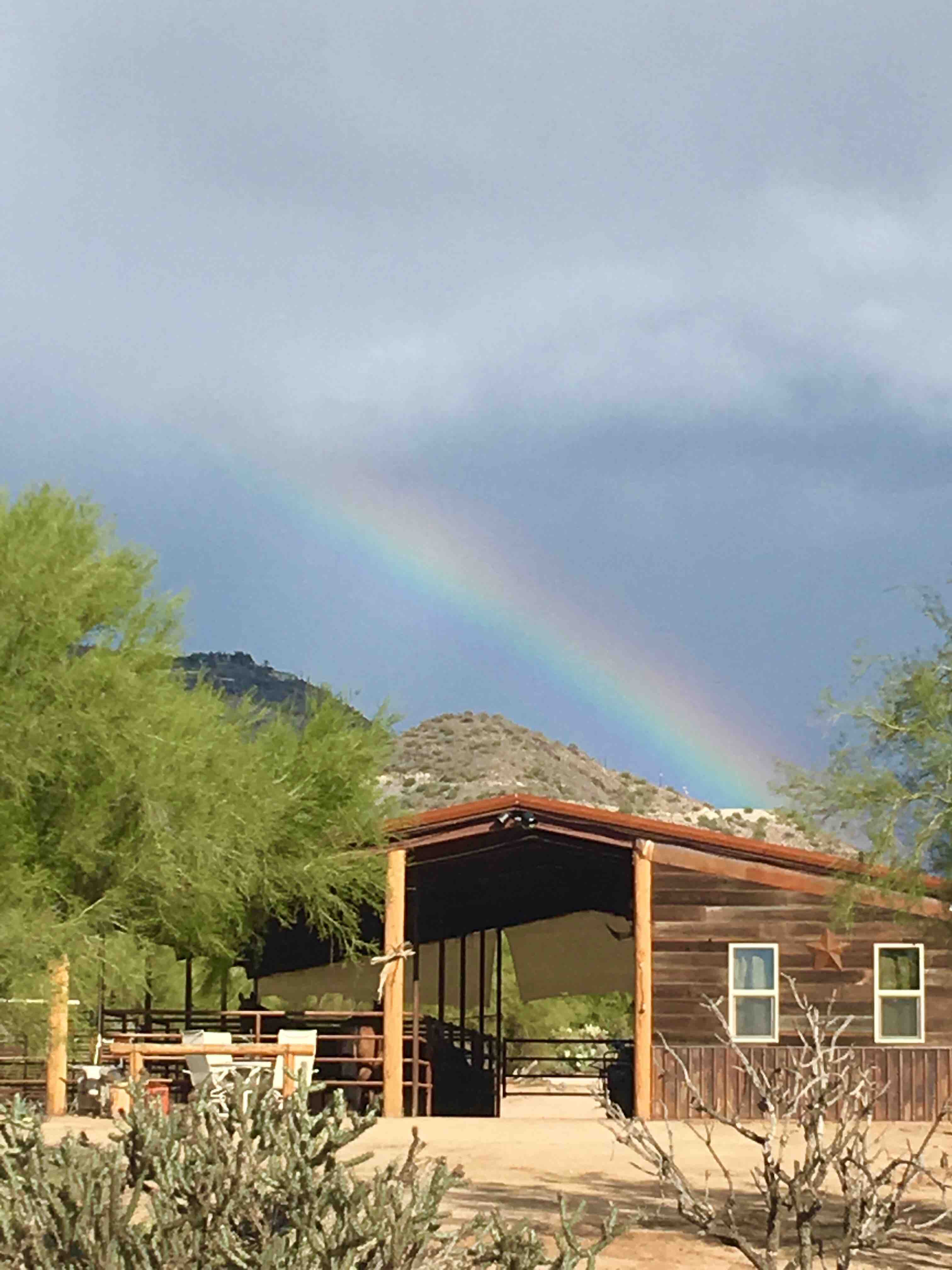 Unique Crooked Cactus Ranch Bunkhouse - Guesthouses for Rent in Cave ...