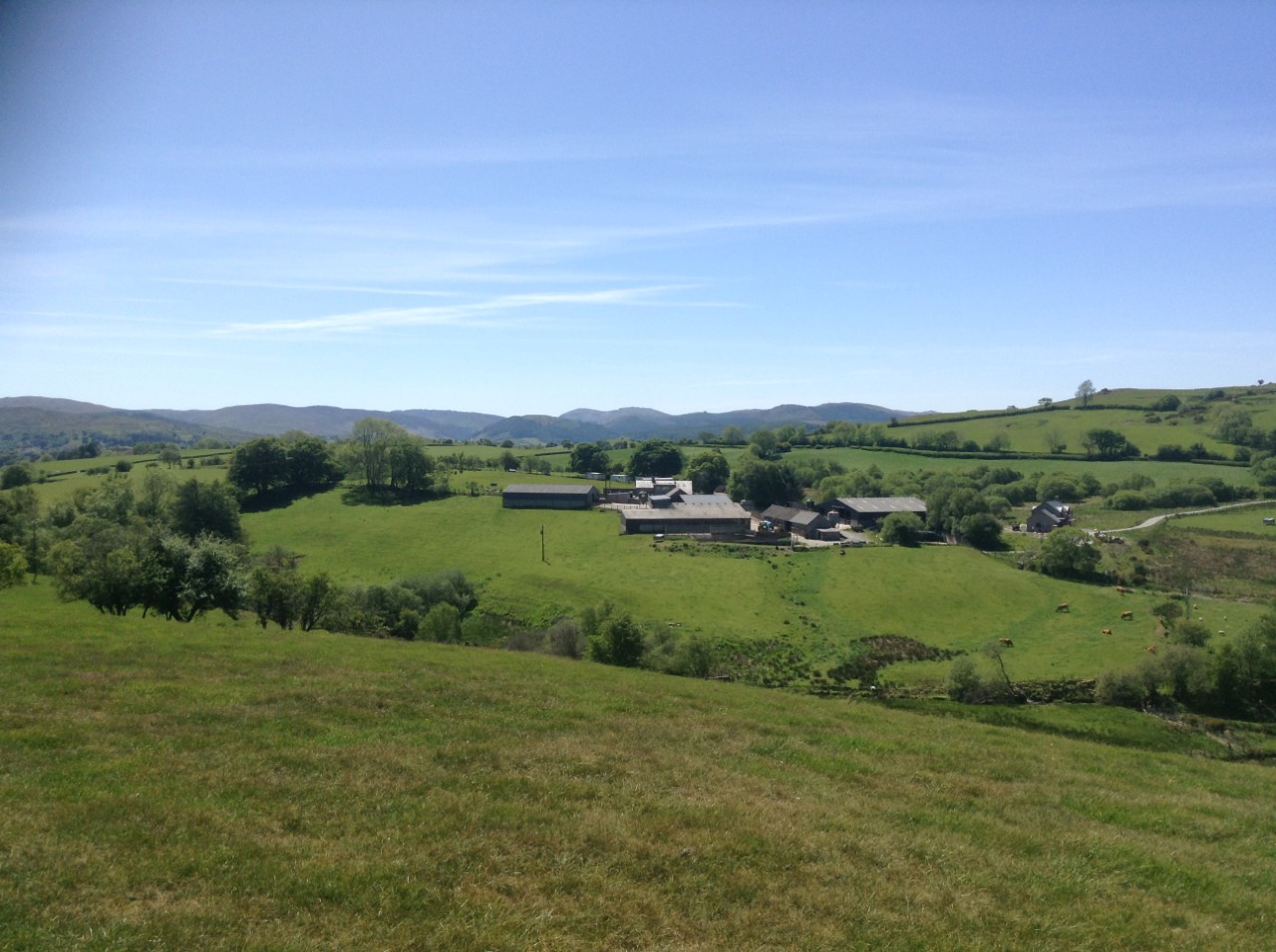 Fferm y Bryn (Bryn Farm) - Guest suites for Rent in Nebo, Wales, United ...