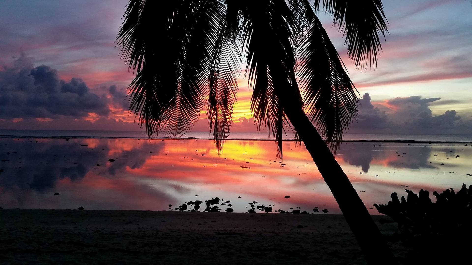 Sunset Palms Raro ~ Beach House - Houses for Rent in Arorangi District ...