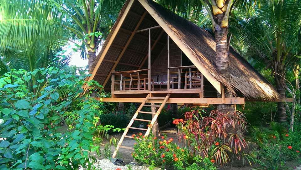 Coconut Tree House Udalo Mindoro - Treehouses for Rent in Abra de Ilog ...