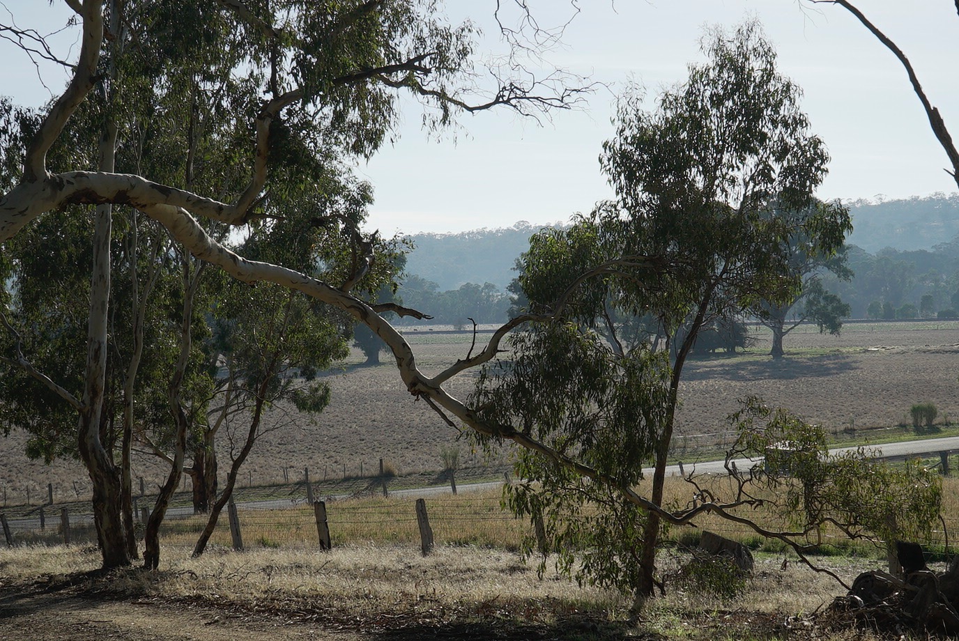 Trinity church in Yandoit - Barns for Rent in Yandoit, Victoria ...