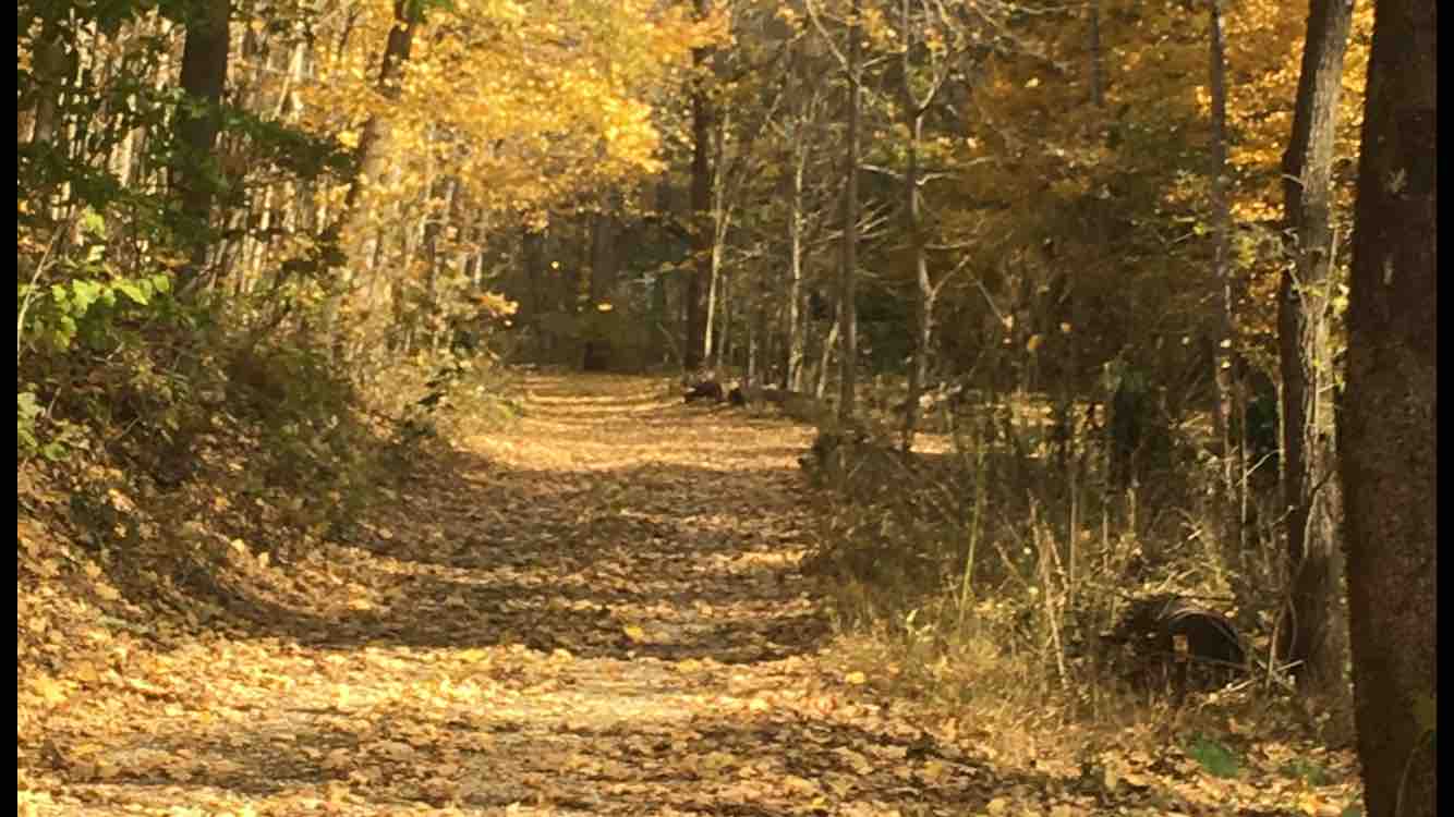 The cut in the hills Aframe Chalet - Chalets for Rent in Ray, Ohio ...