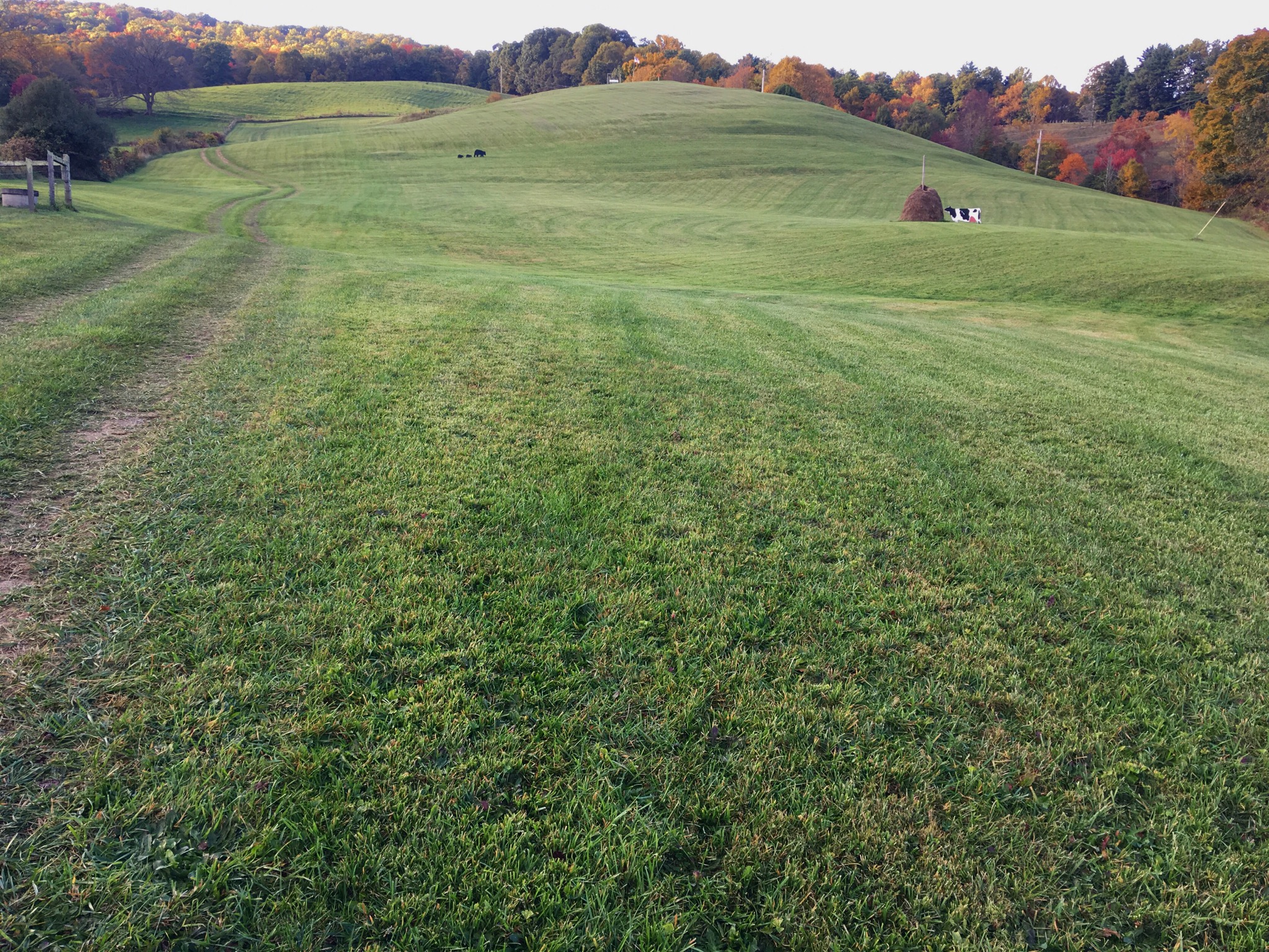 Scott Hill Cabin #3 - Cabins for Rent in Shady Valley, Tennessee ...