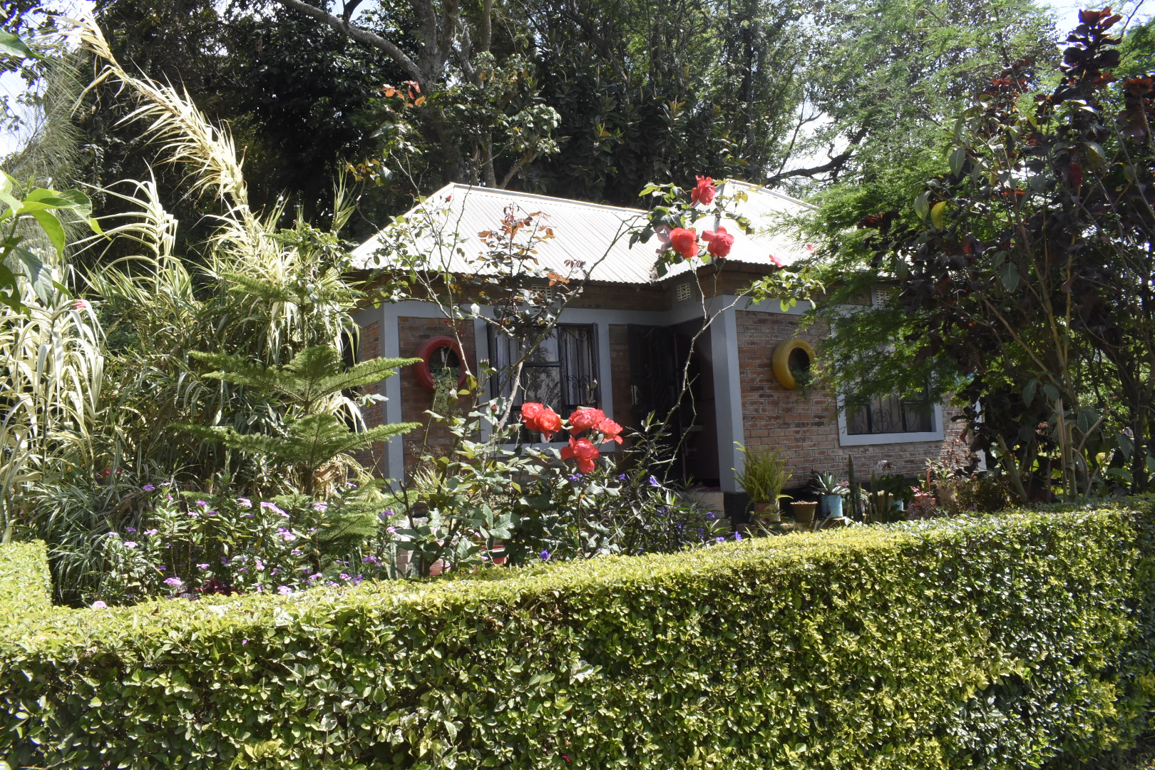 Lush garden cottage - Cottages for Rent in Arusha, Arusha, Tanzania ...