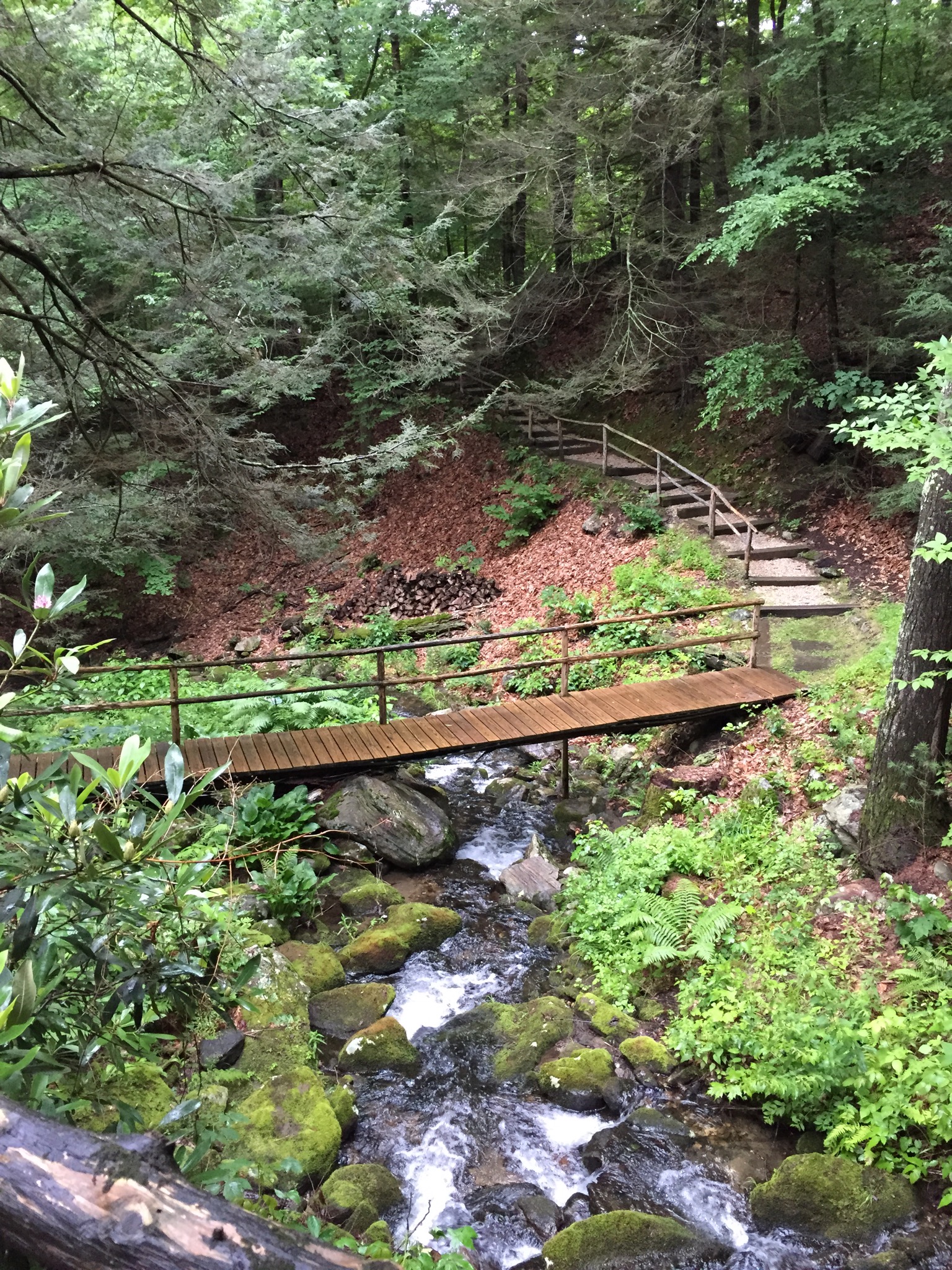 Secluded cabin with babbling brook - Cabins for Rent in Monterey ...