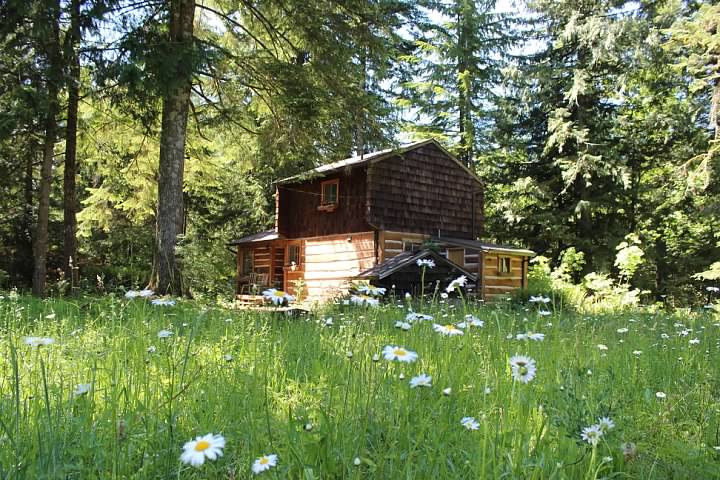 Rustic Sandy River Cabin - Cabins for Rent in Rhododendron, Oregon ...