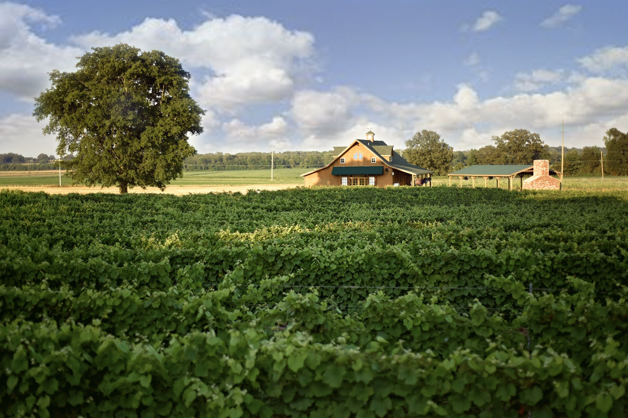 Romantic Winery Loft Suite - Farm stays for Rent in Kenton, Tennessee ...
