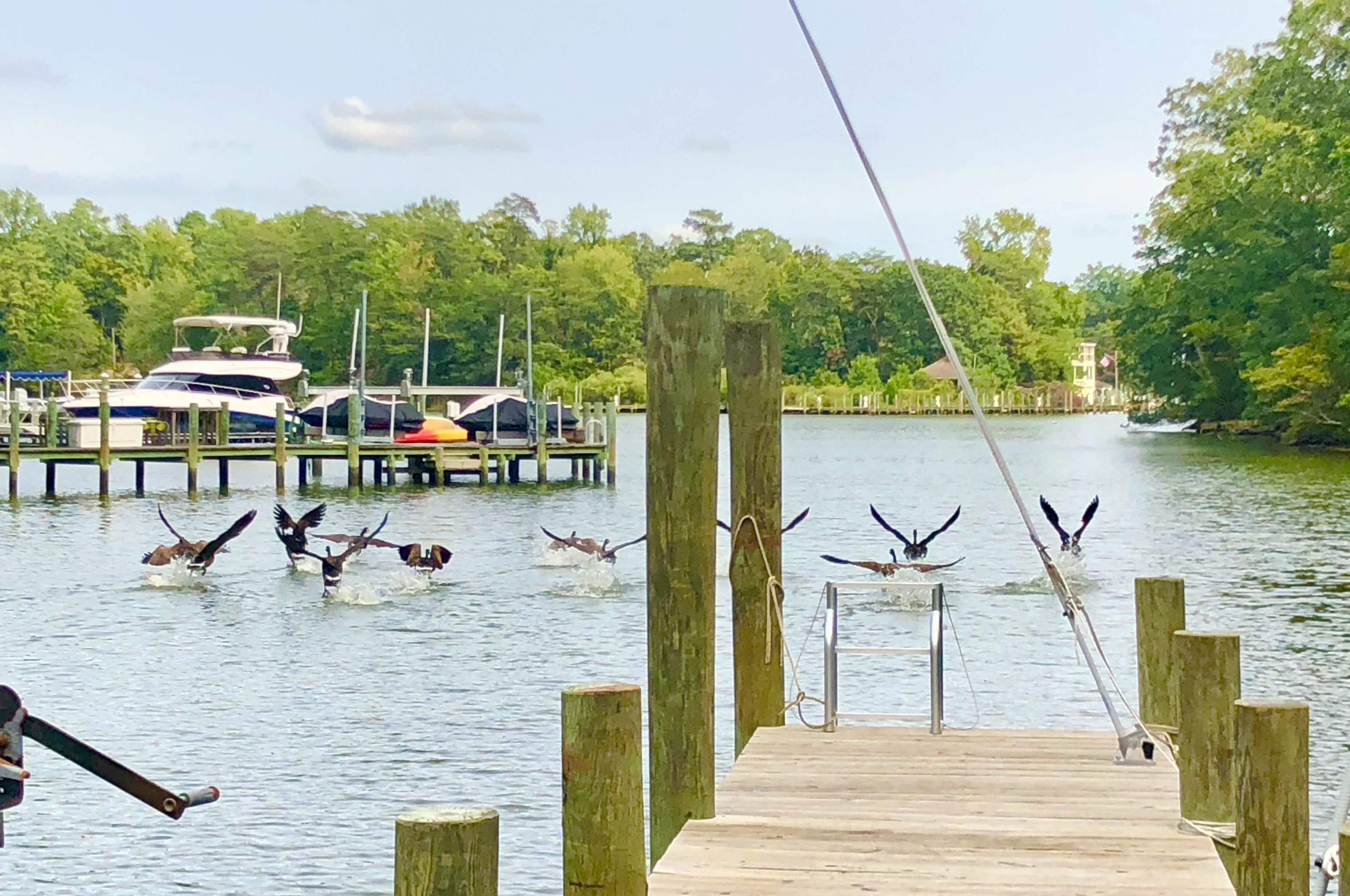 Waterfront. Family. Dock & Study. - Houses for Rent in Weems, Virginia ...